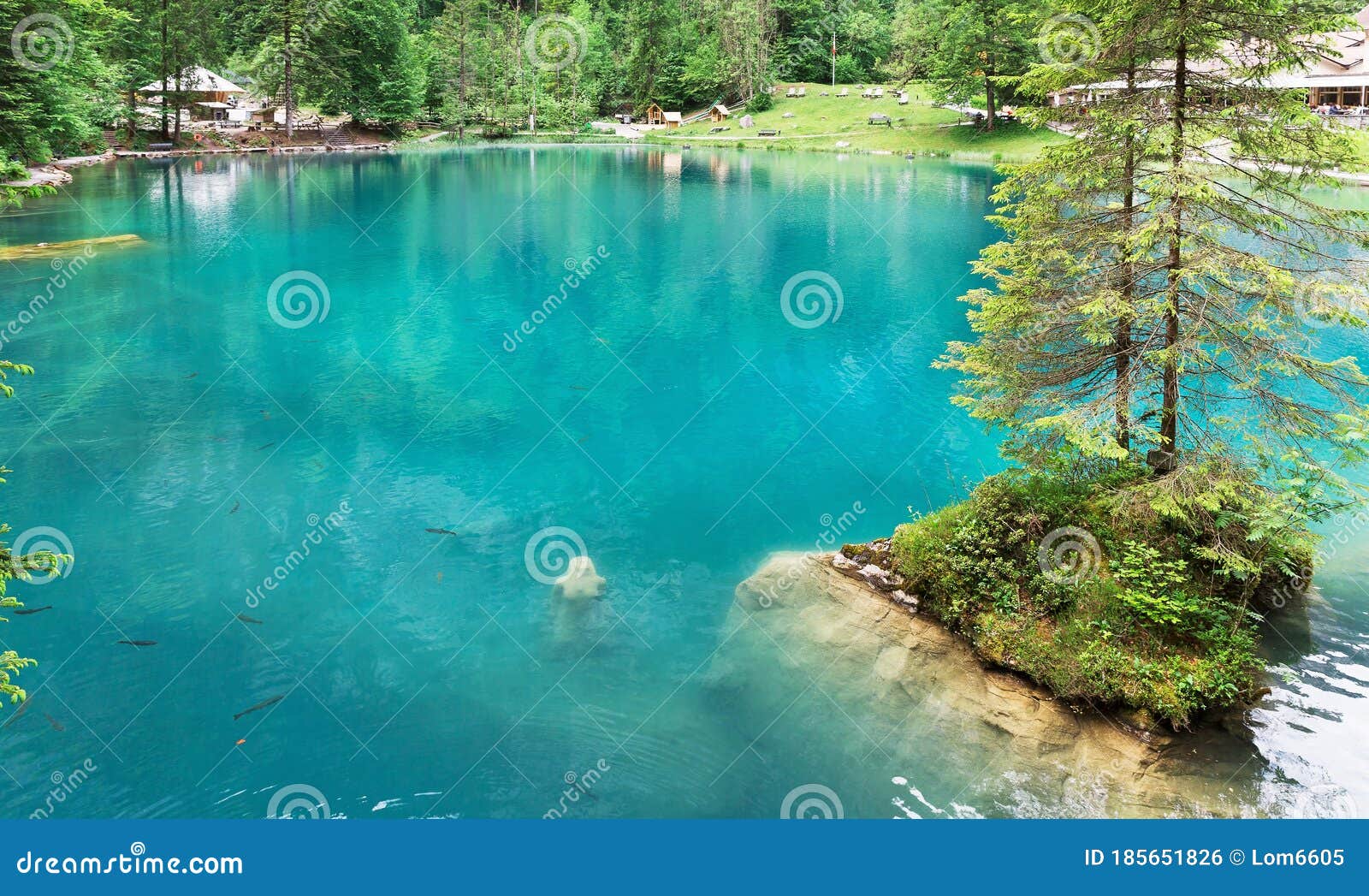 Lake Blausee in Switzerland Stock Photo - Image of nature, light: 185651826