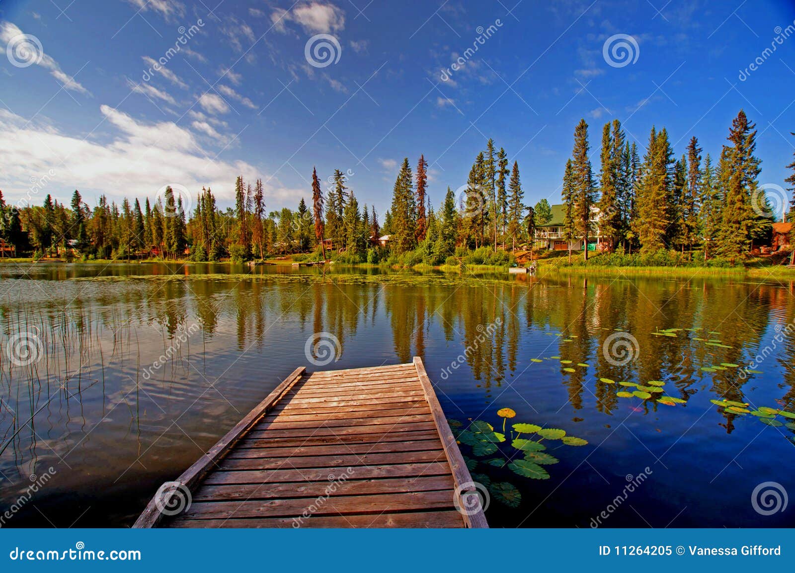 Beautiful Lake and Dock stock image. Image of color, night - 11264205