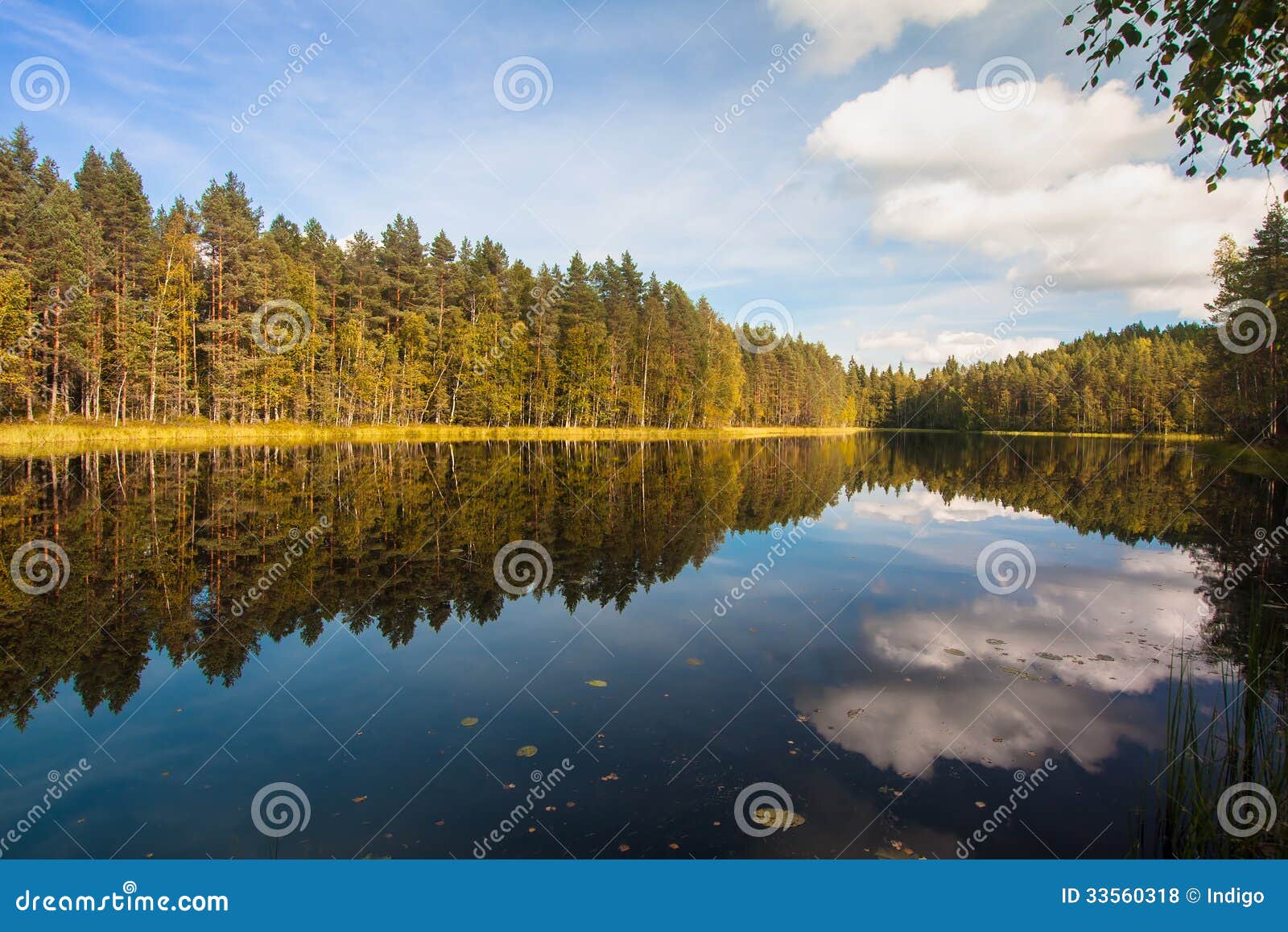 Beautiful lake in Finland stock photo. Image of environment - 33560318