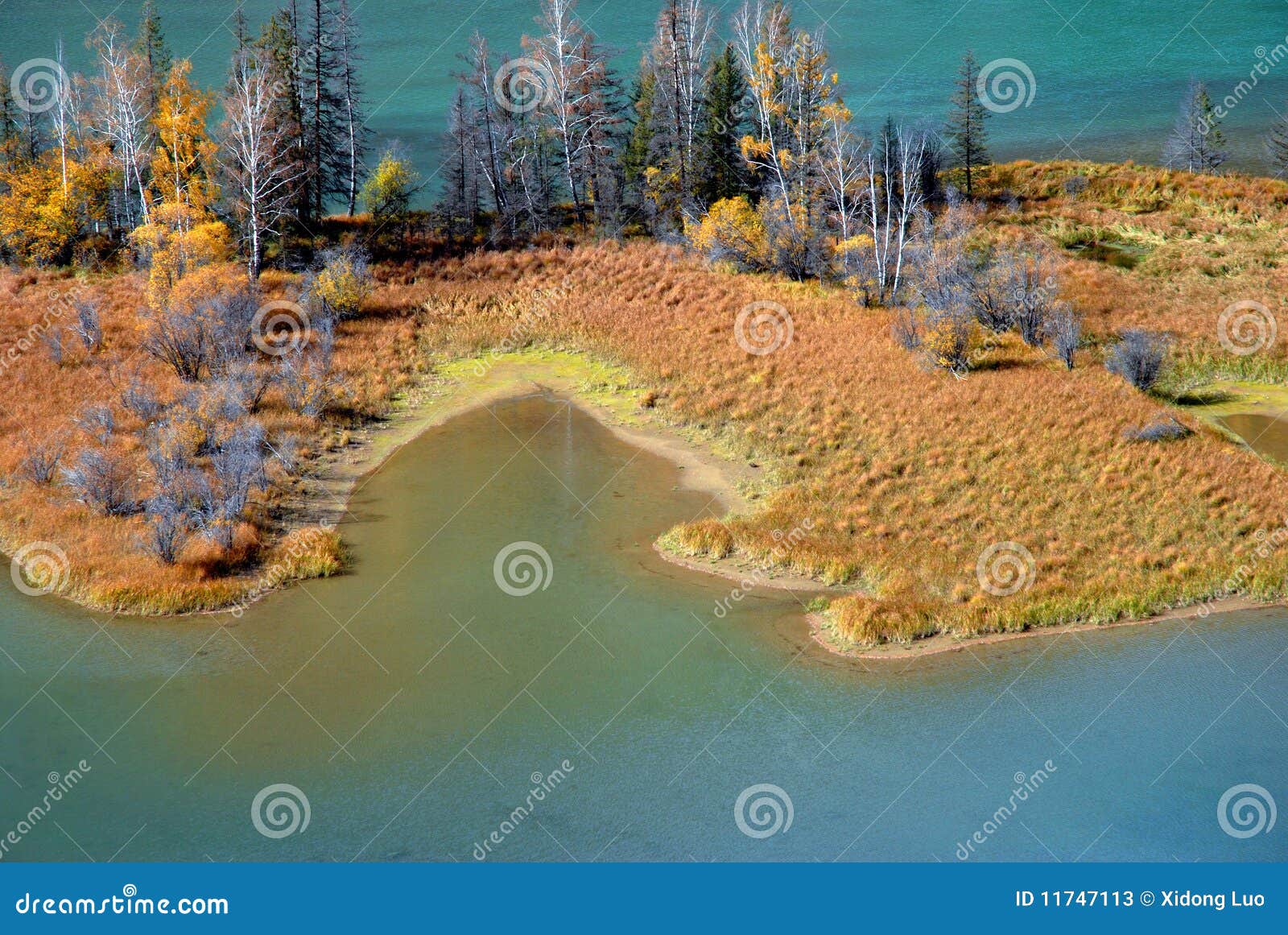 Beautiful lake island stock image. Image of grass, seasonal - 11747113