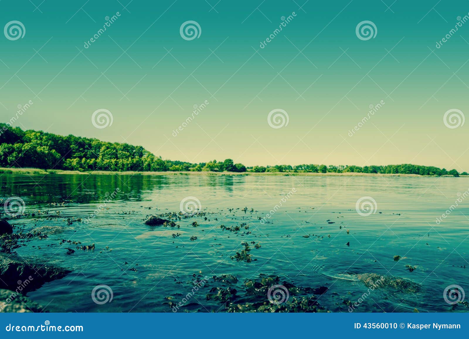 Beautiful lake landscape stock photo. Image of coast - 43560010