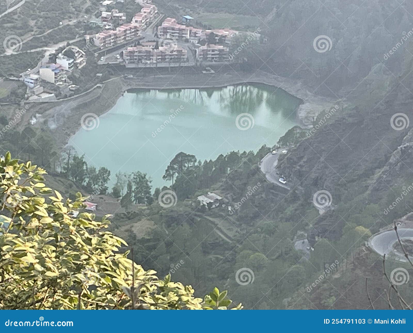 Mango shape lake stock image. Image of mango, shape - 254791103