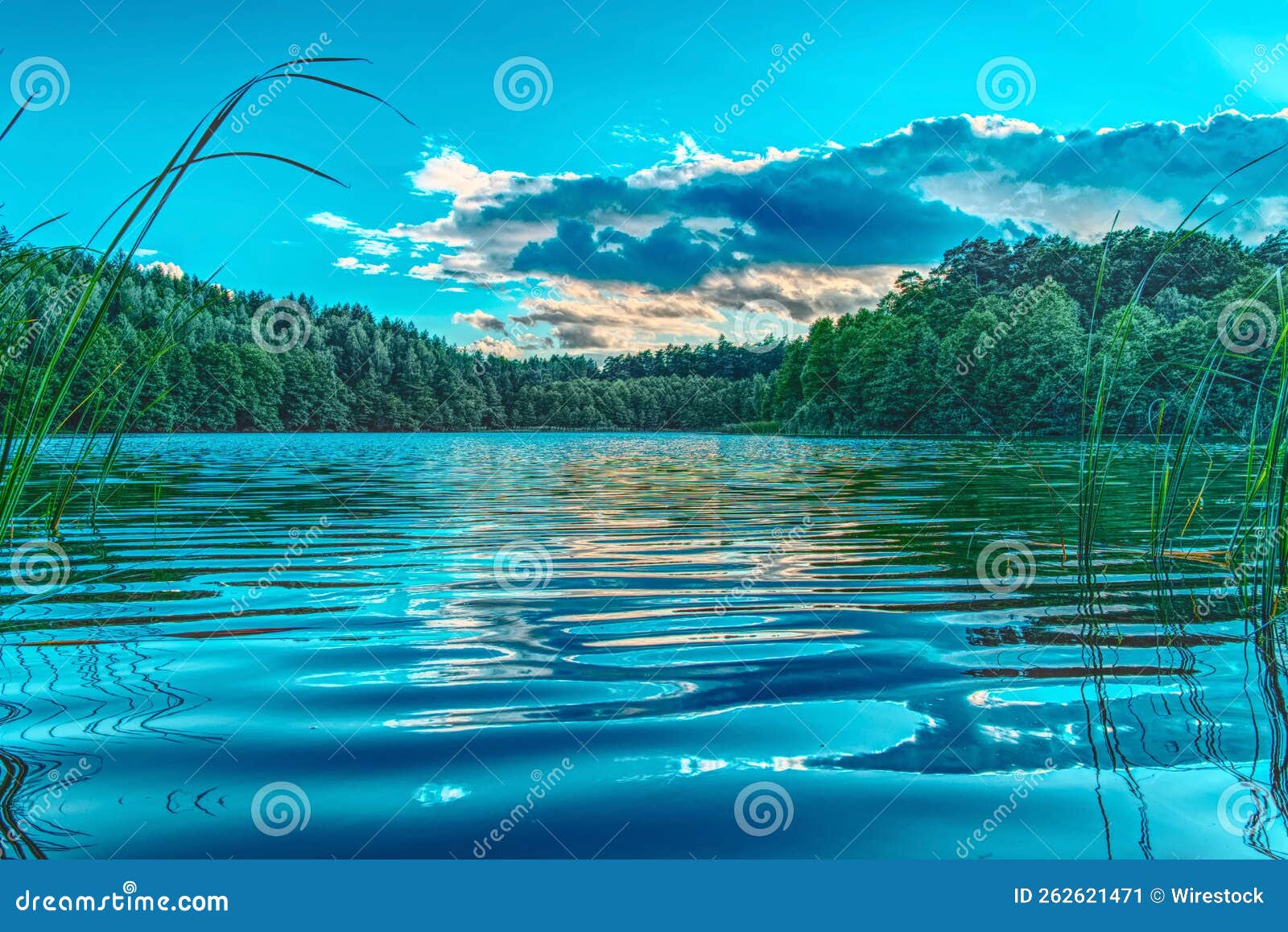 Beautiful Lake in Masuria, Poland Stock Image - Image of water, lake ...