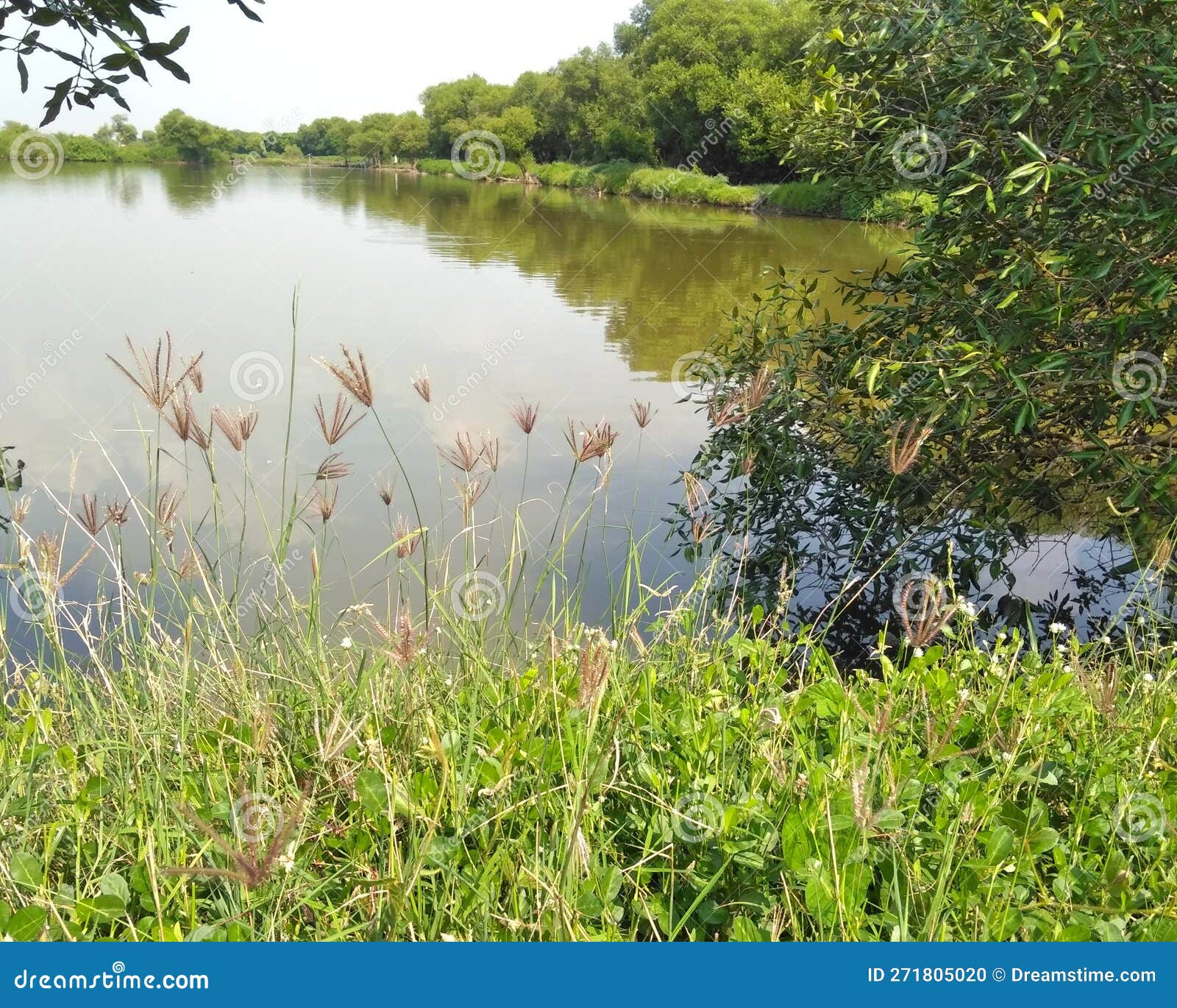 Beautiful Lake in the Morning Stock Photo - Image of reflection ...