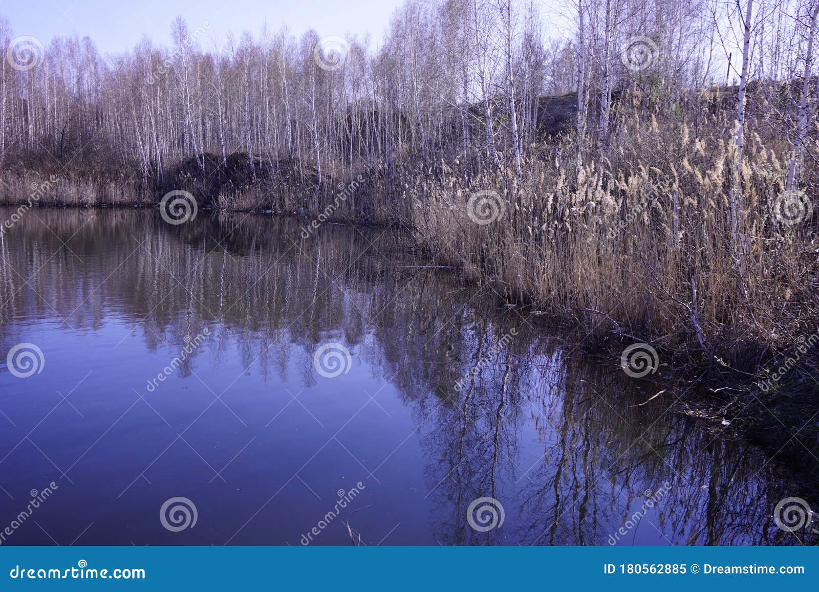 Beautiful Lake with Reflection of Trees Stock Image - Image of wetland ...