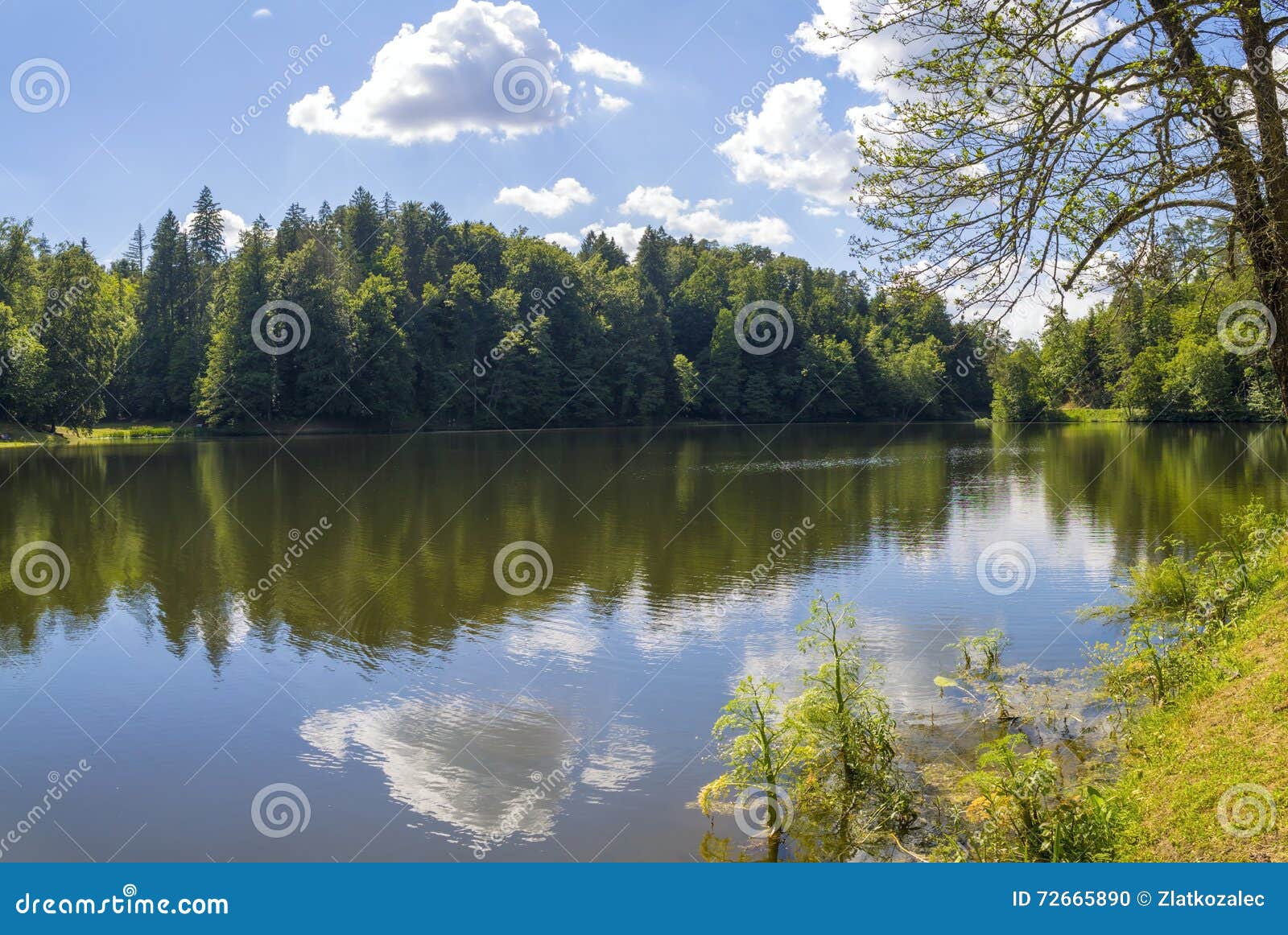 Beautiful lake scene stock photo. Image of park, lake - 72665890