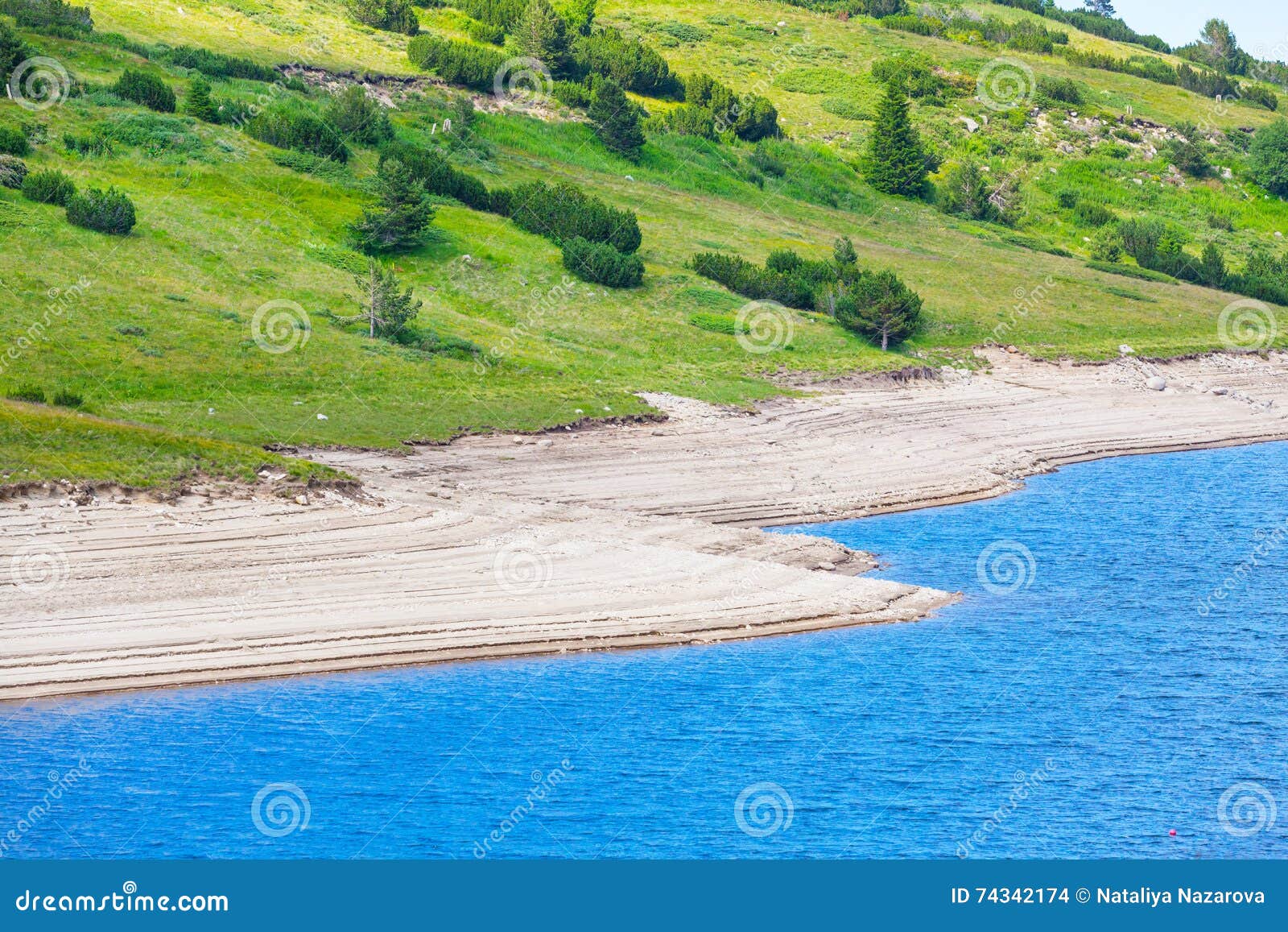 Beautiful Lake and Shore View with Pine Trees Stock Photo - Image of ...
