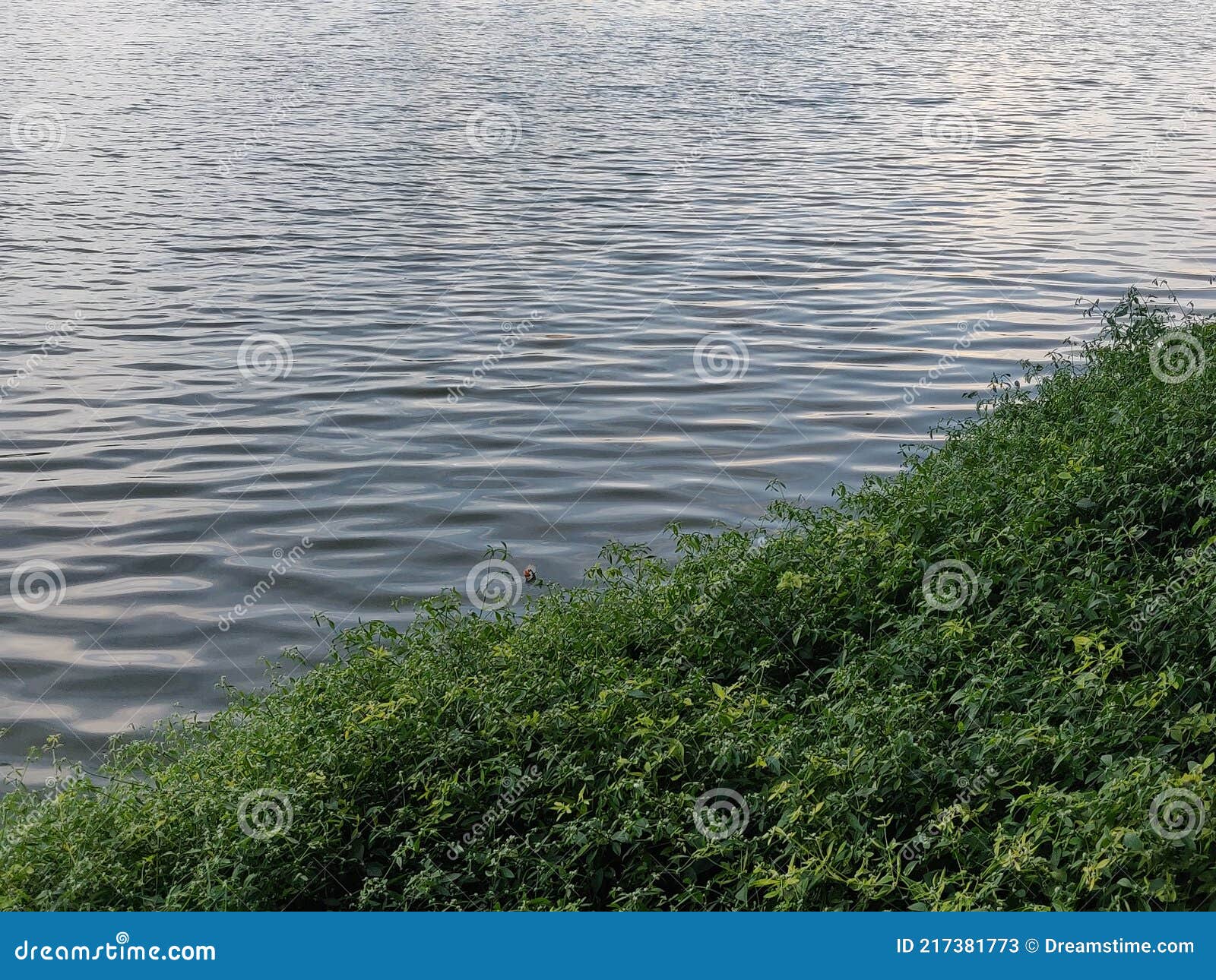 Beautiful Lake Side View stock image. Image of view - 217381773