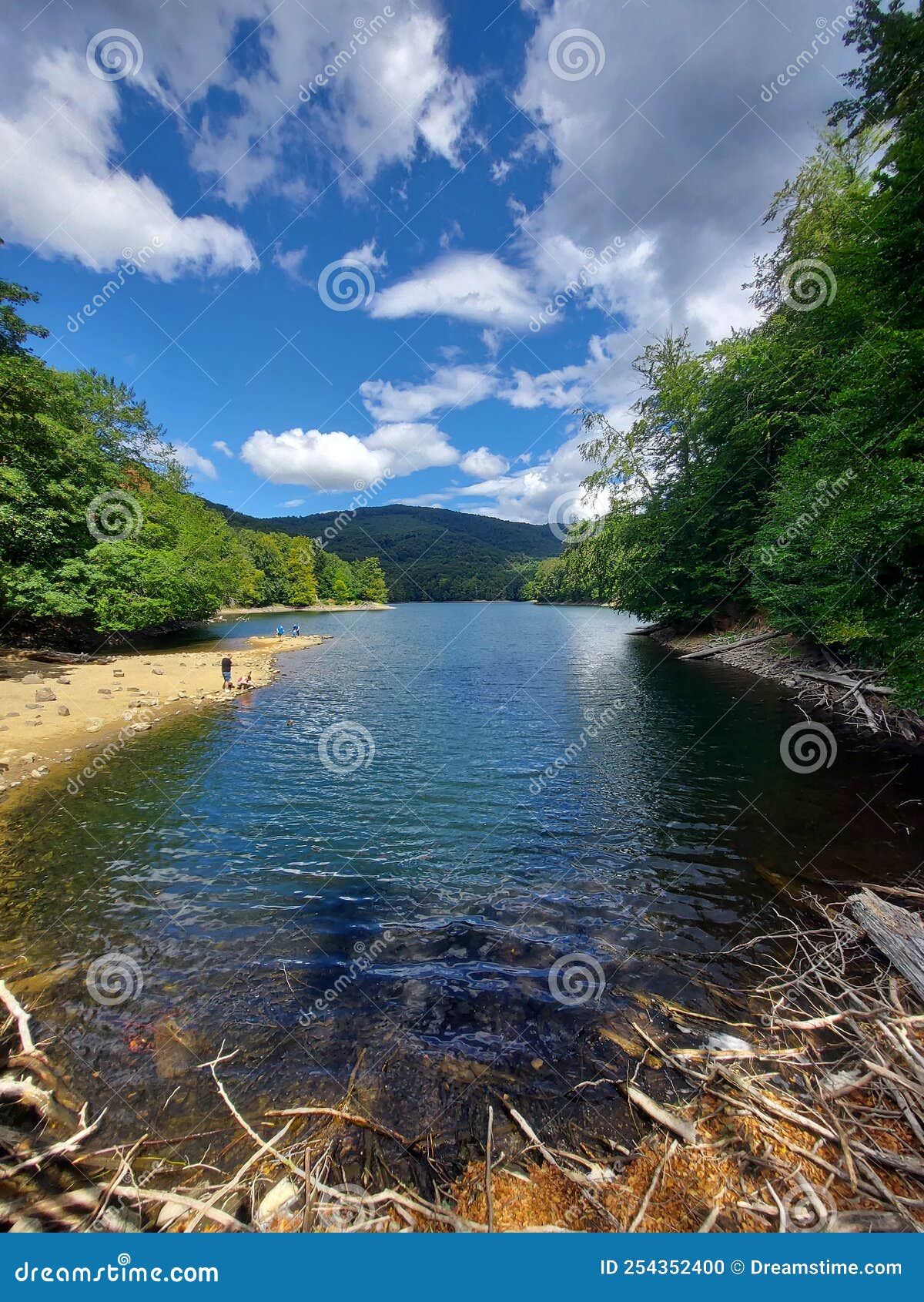 Beautiful Lake in Slovakia stock photo. Image of forest - 254352400