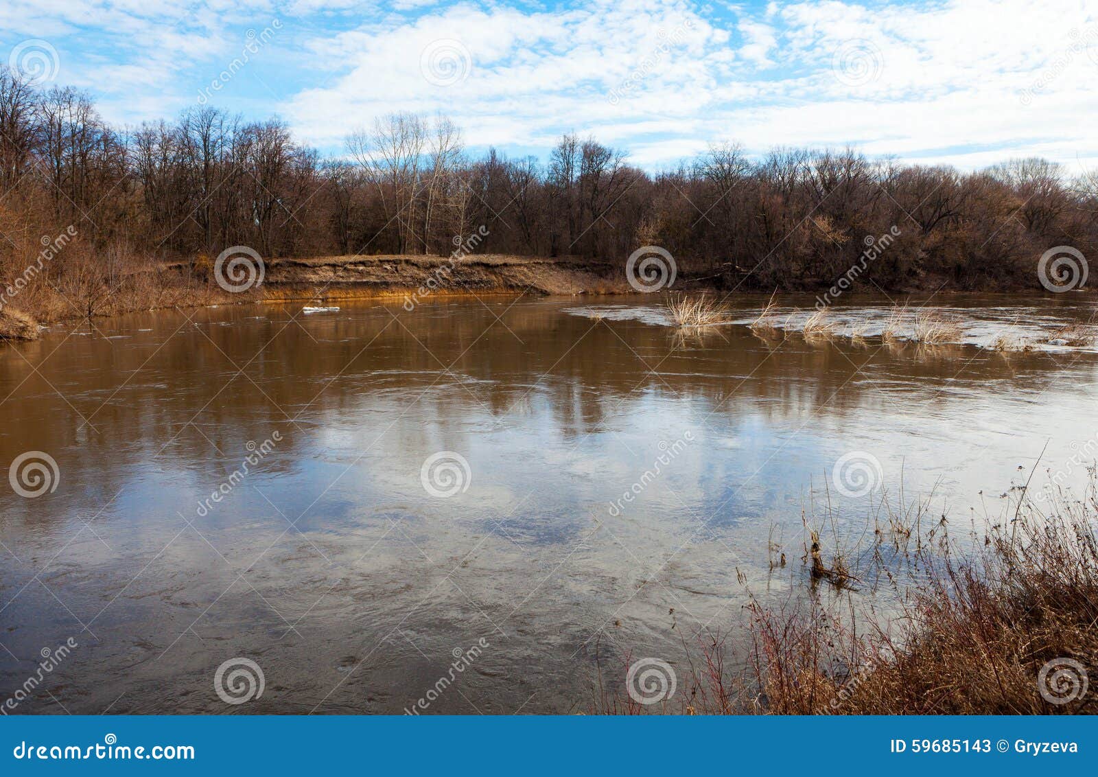 Beautiful Lake in the Spring Stock Image - Image of sunny, landscape ...