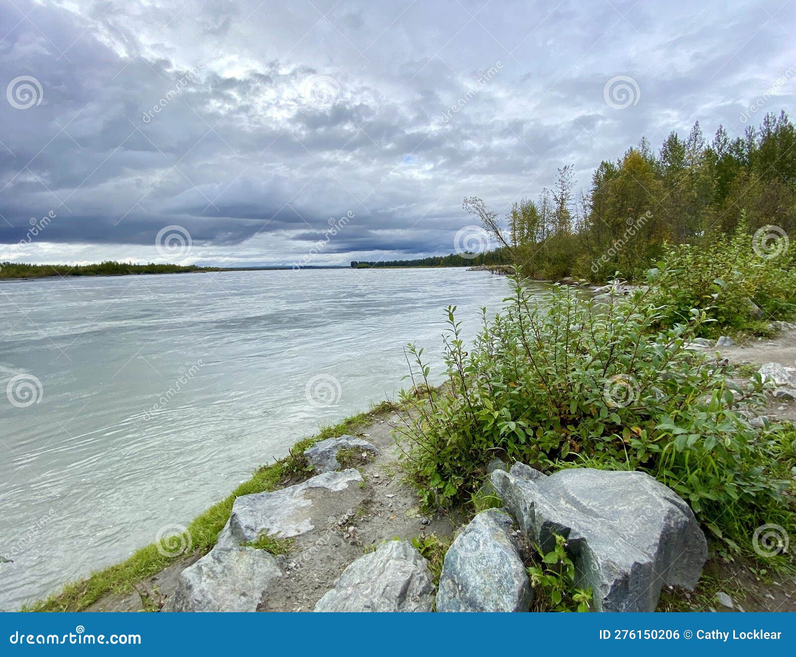 Beautiful Lake Surrounded by Trees and Plants Stock Photo - Image of ...