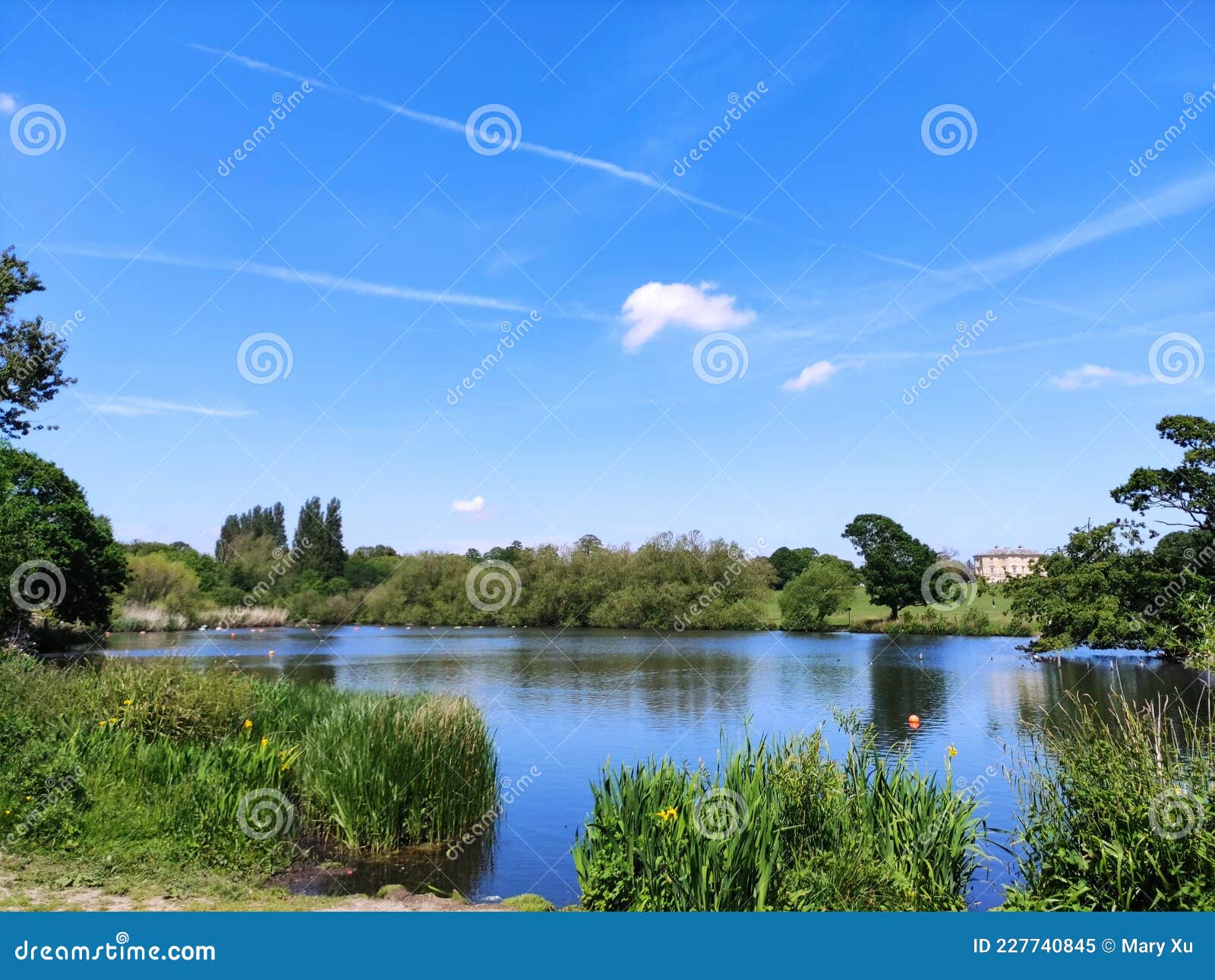 The Beautiful Lake and Trees in Danson Park, at Bexleyheath, UK Stock ...
