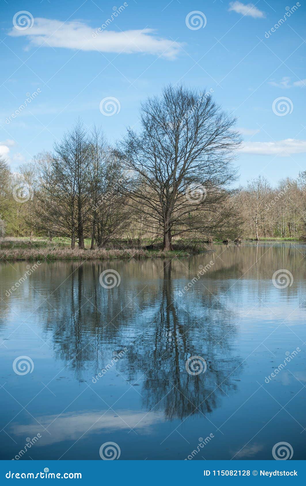 Beautiful Lake with Trees in Reflection Stock Photo - Image of ...