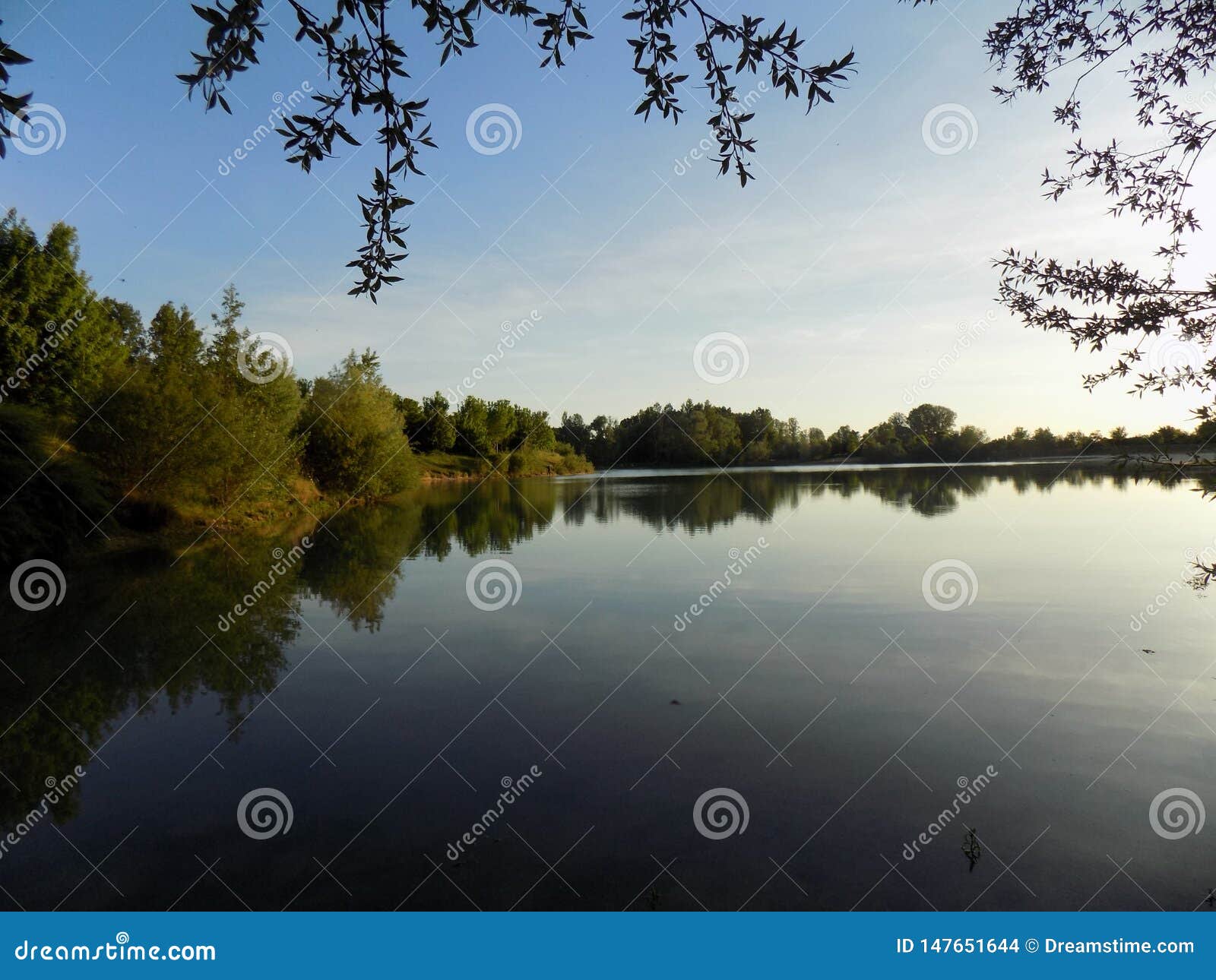 A beautiful lake stock photo. Image of trees, reflects - 147651644