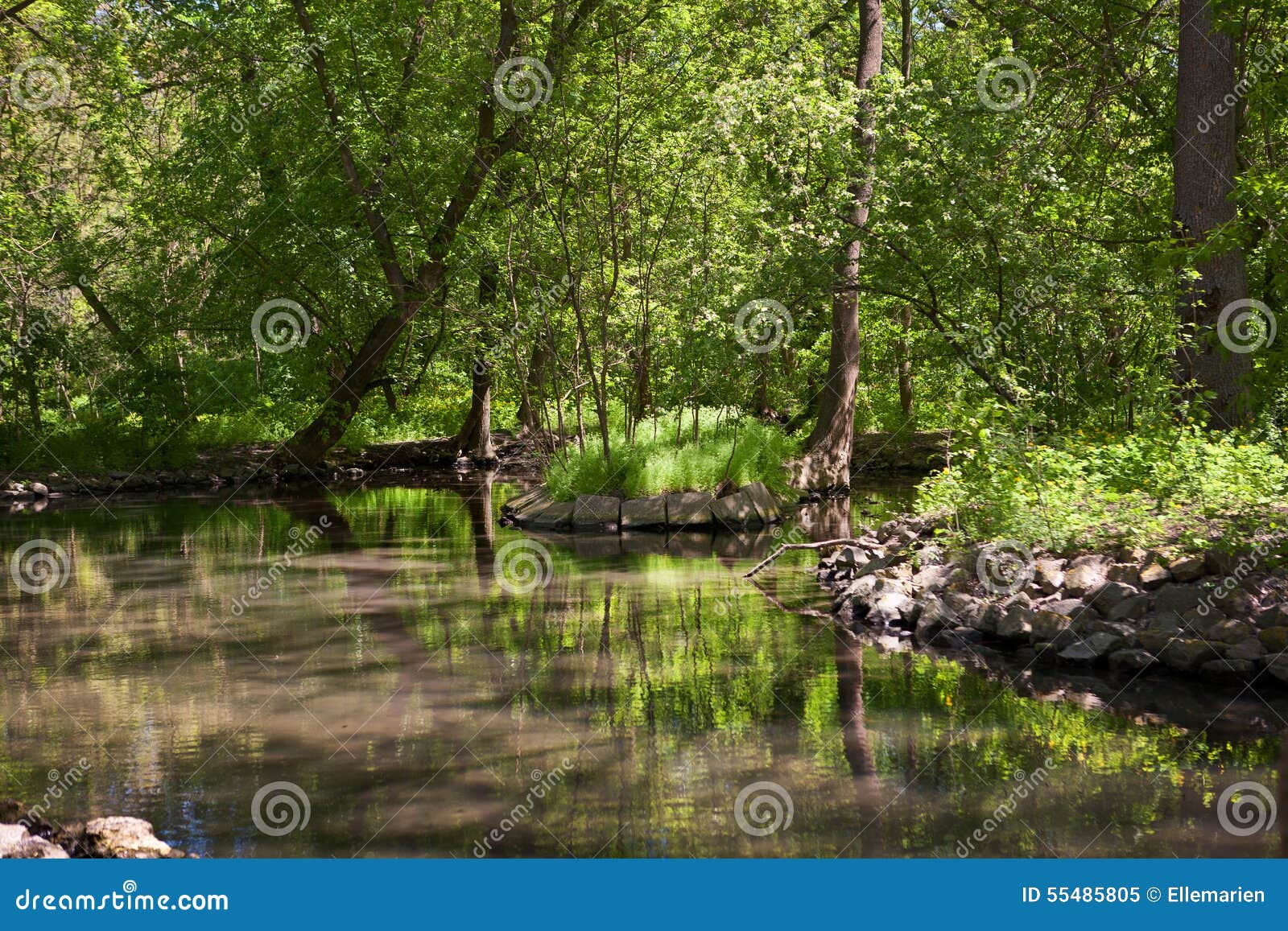 Beautiful Lake with Trees and Rocks Reflection Stock Image - Image of ...
