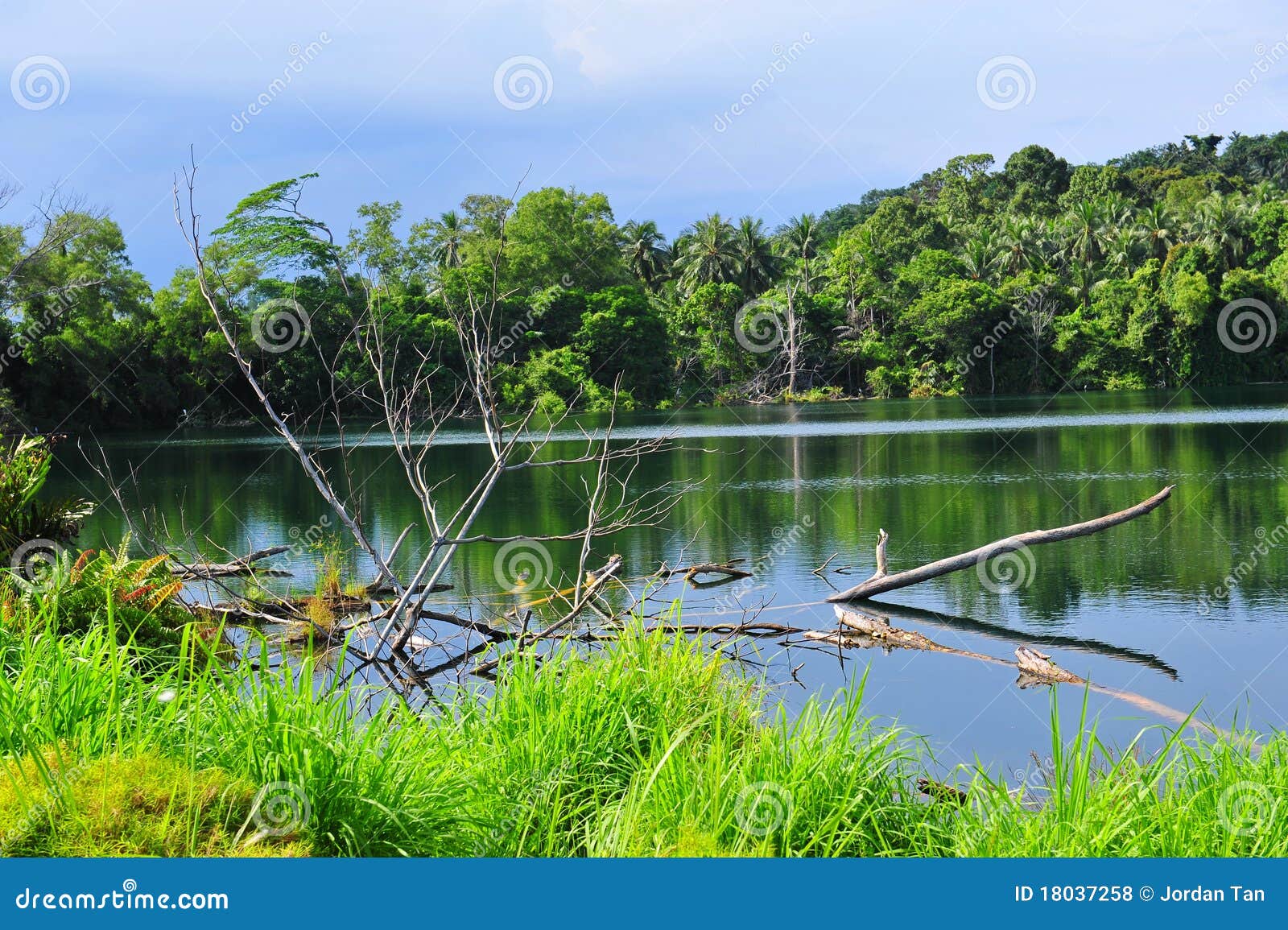 Beautiful Lake on a Tropical Island Stock Photo - Image of pulau ...
