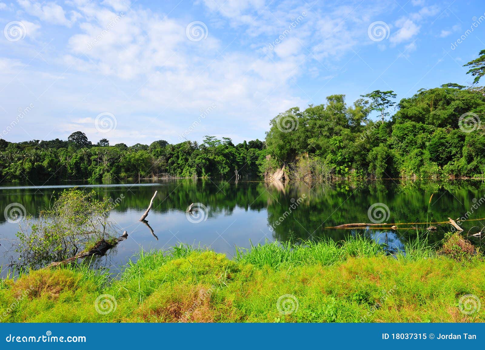 Beautiful Lake on a Tropical Island Stock Image - Image of river, grass ...