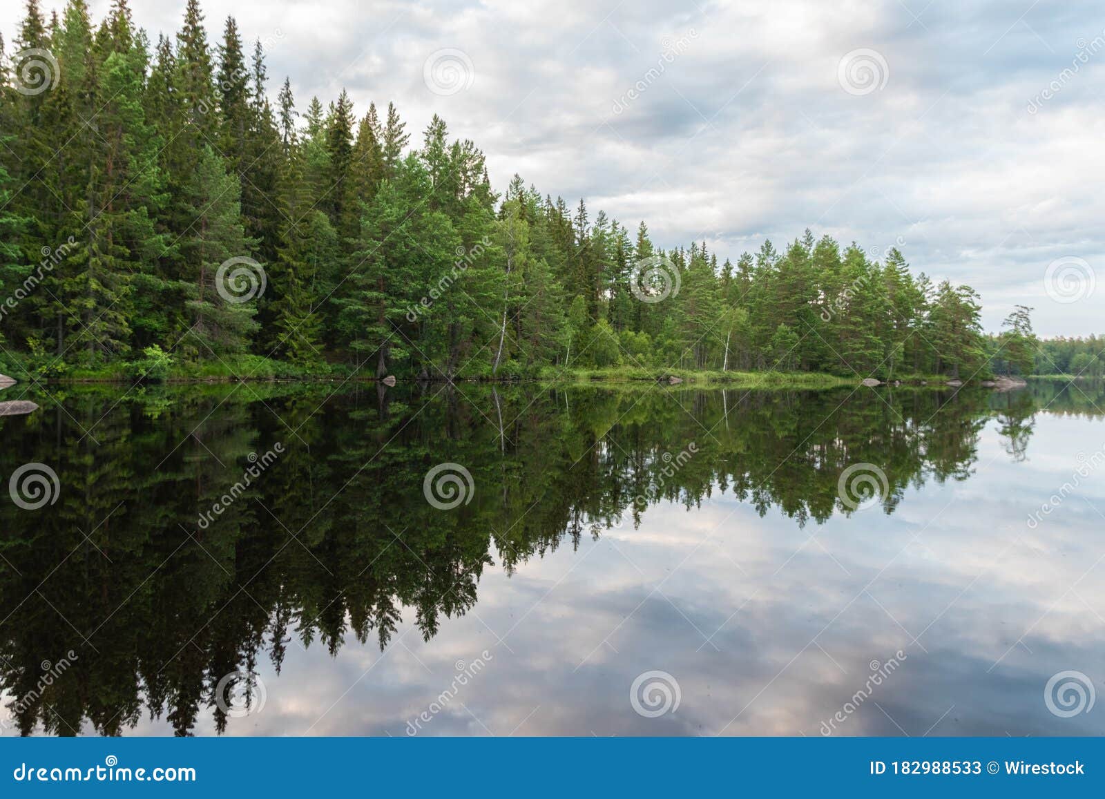 Beautiful Lake Vanern Surrounded by Numerous Pine Trees, Sweden Stock ...