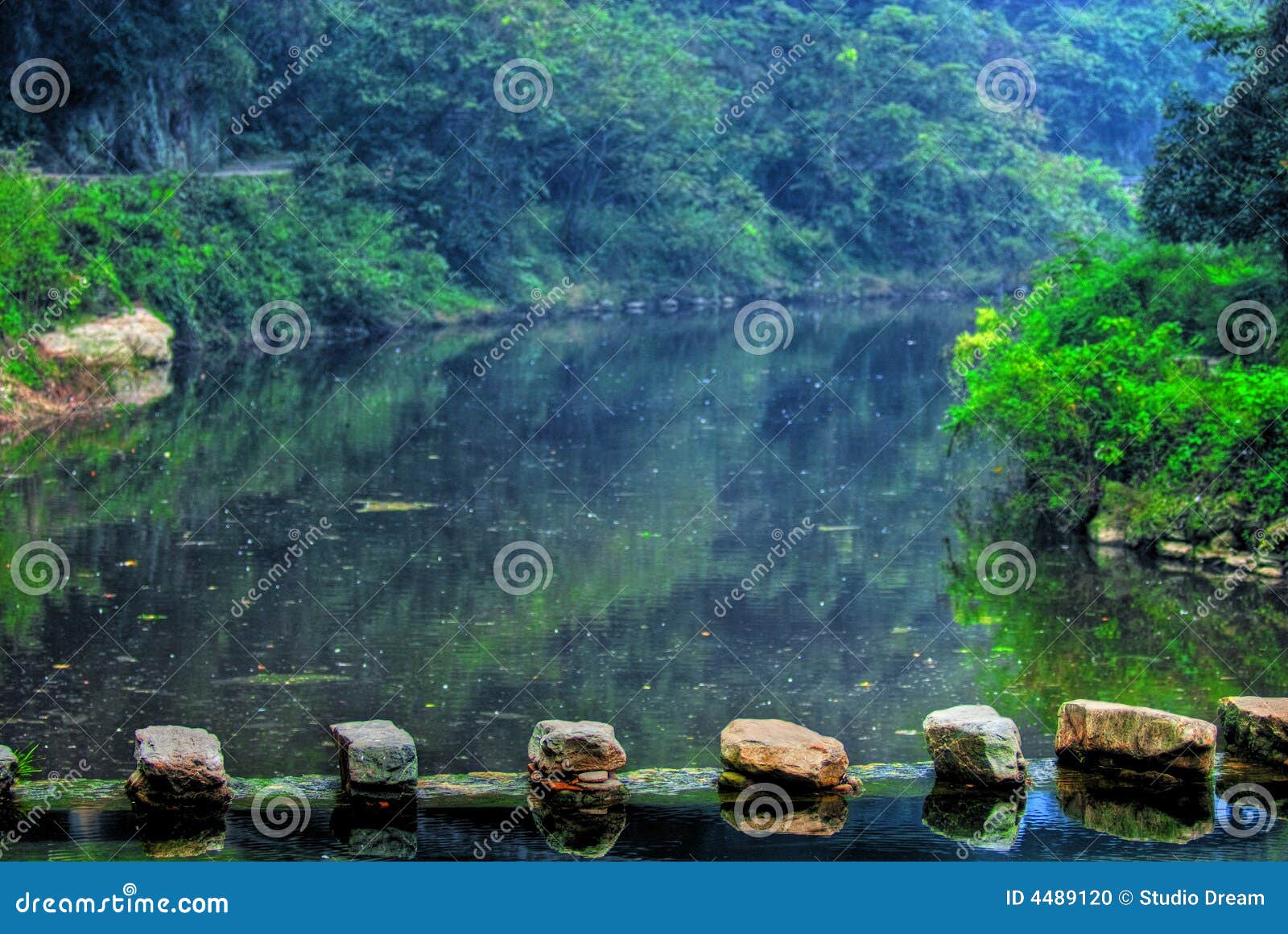 Beautiful Lake View stock photo. Image of scenery, outdoor - 4489120