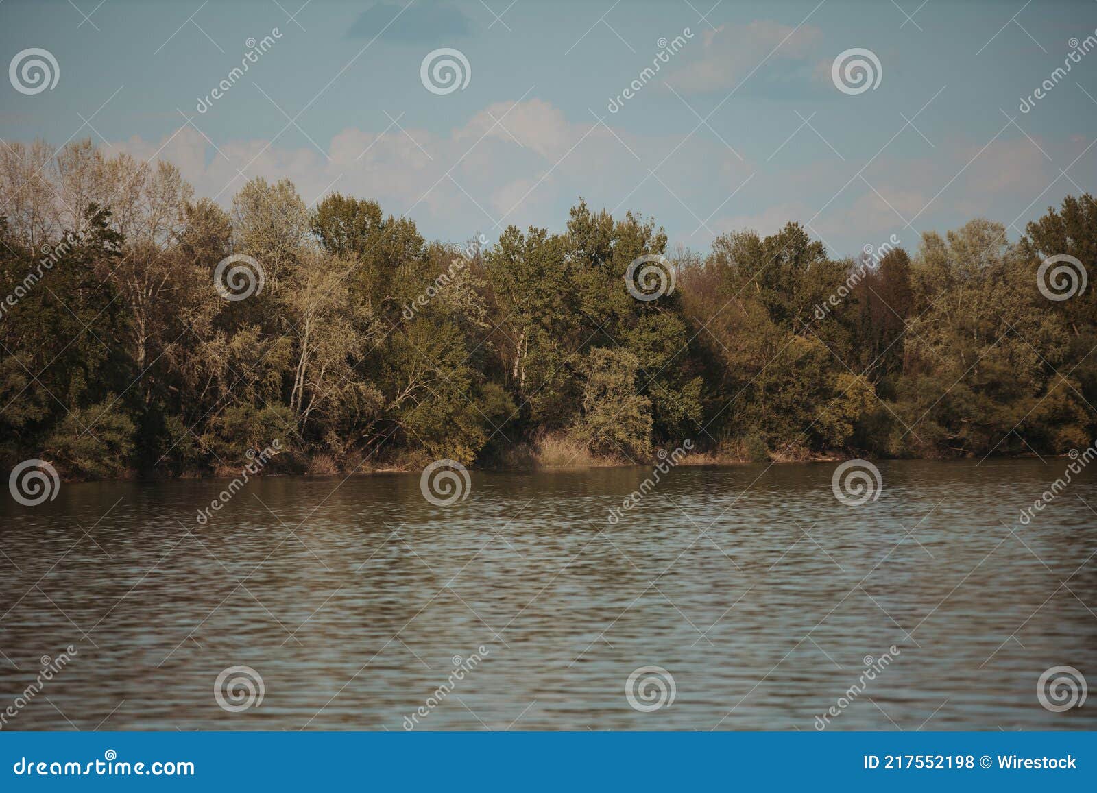 Beautiful Lake View Surrounded by Trees Stock Photo - Image of river ...