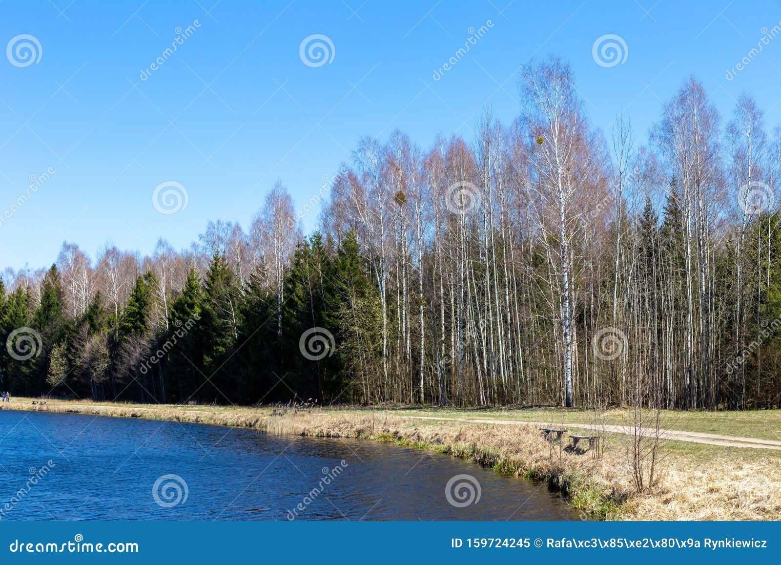 A Beautiful Lake in the Woods Stock Image - Image of beautiful, green ...