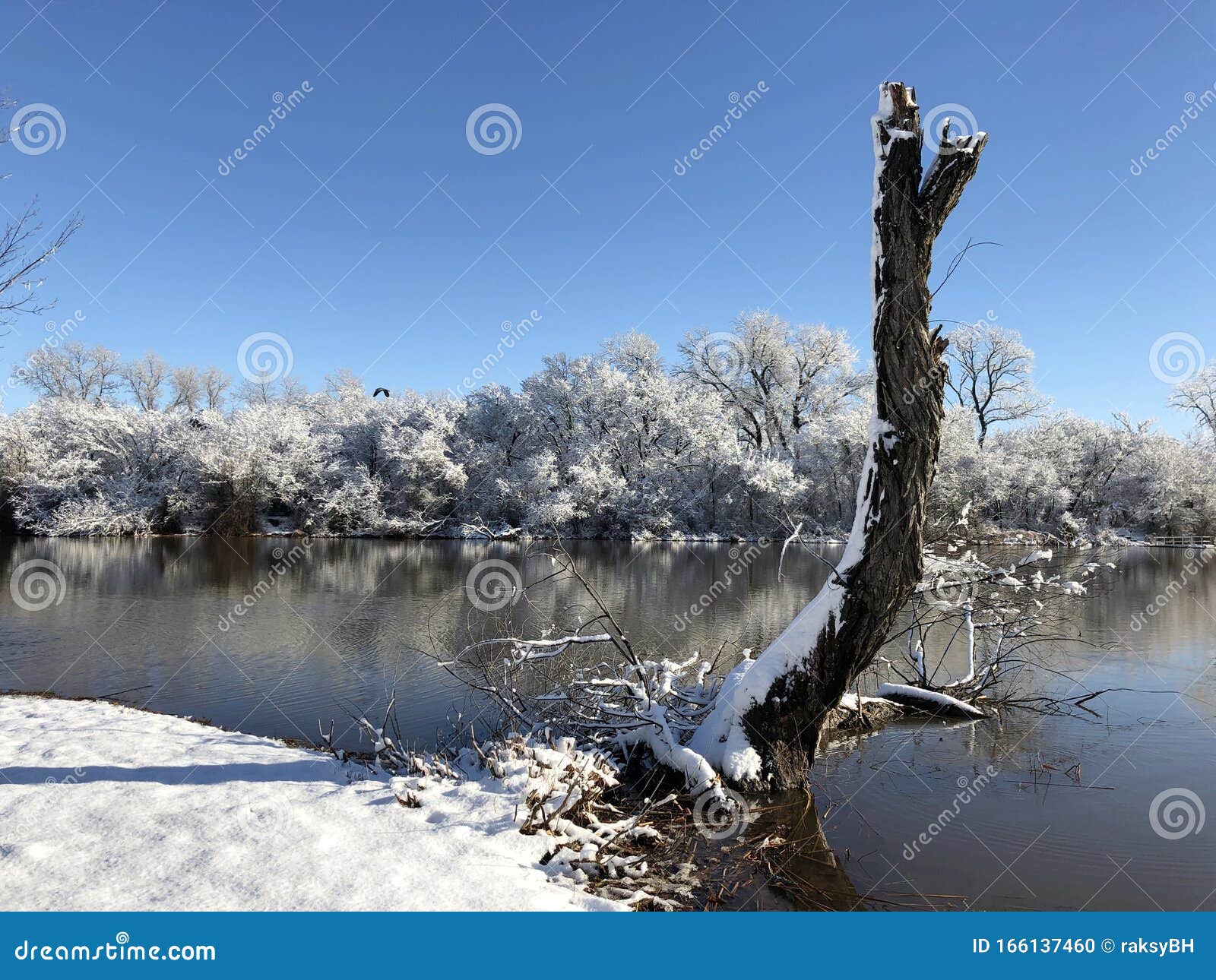 Lakeside Scene in Winter with a Tree Stump Partially Covered in Snow ...