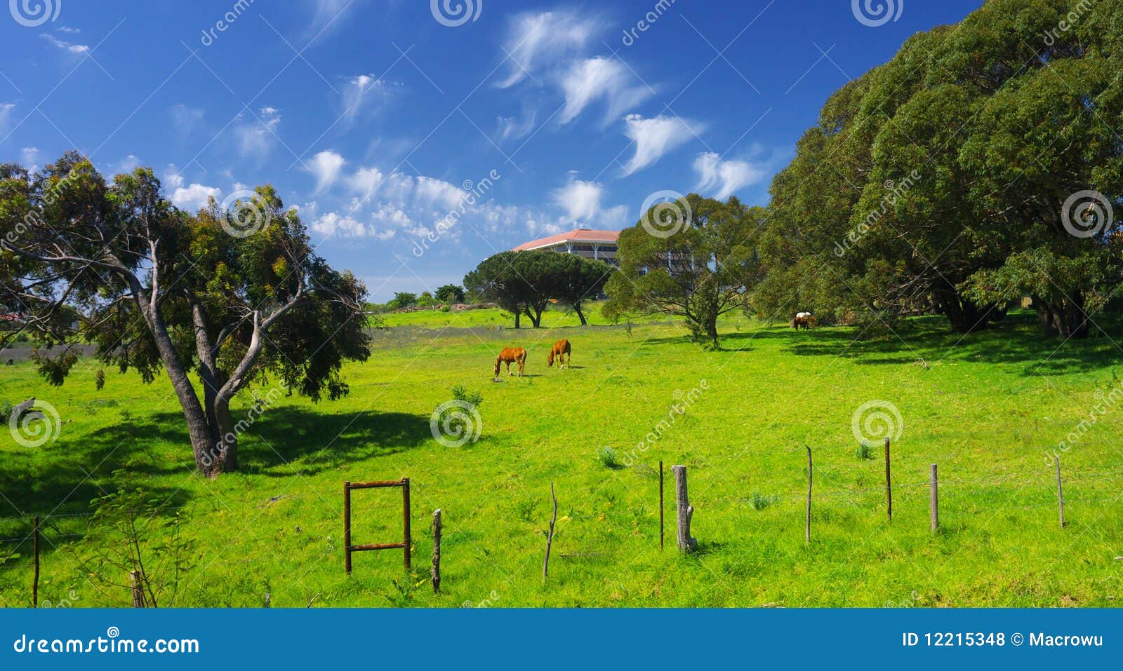 Beautiful land stock photo. Image of cape, south, house - 12215348