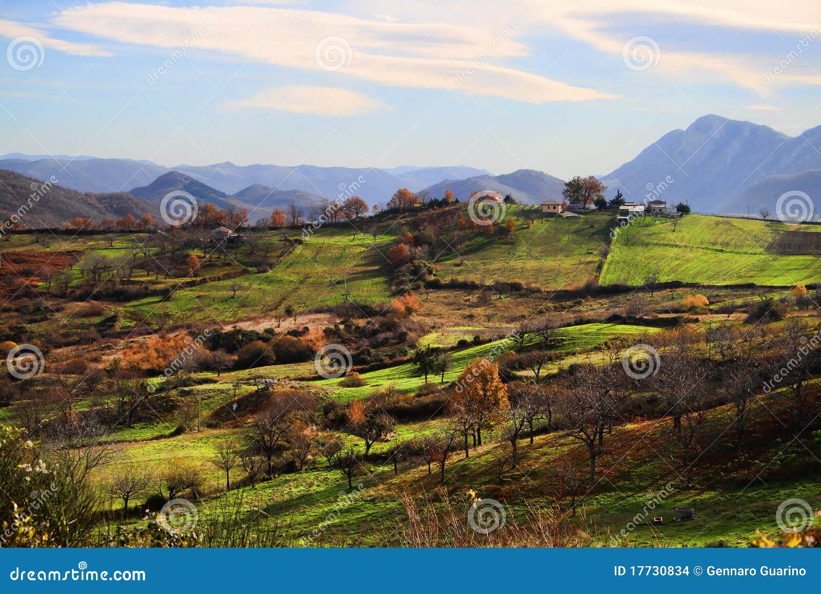Beautiful land stock photo. Image of lush, grass, clear - 17730834