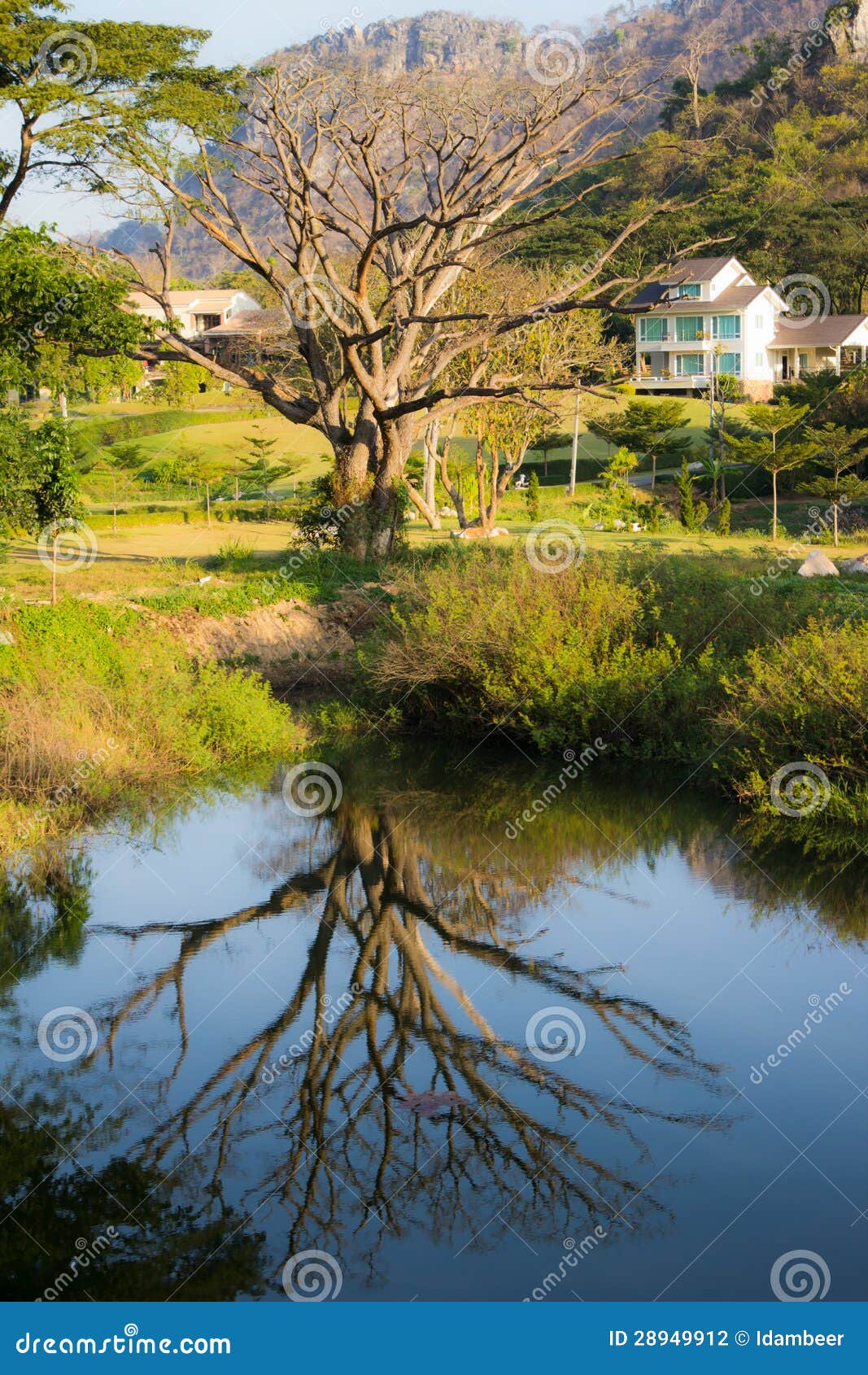Beautiful land stock photo. Image of home, meadow, nature - 28949912