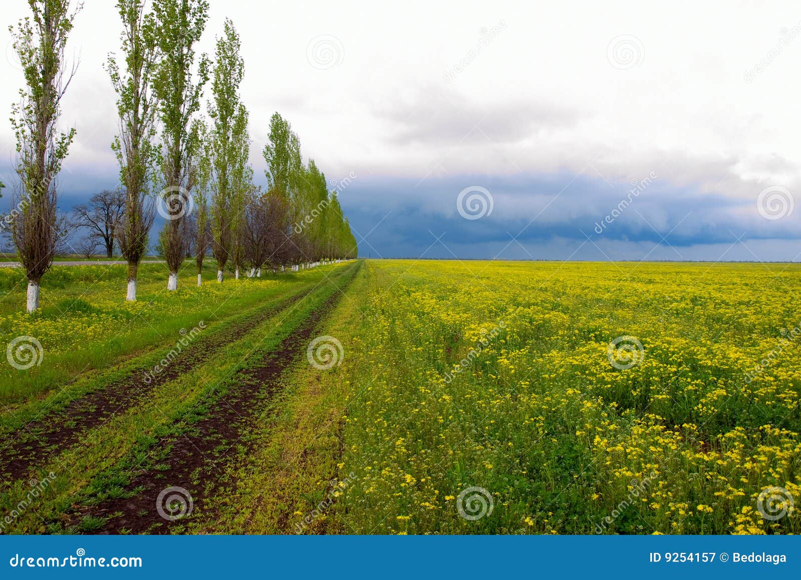 Beautiful lands stock image. Image of colored, fresh, idyllic - 9254157