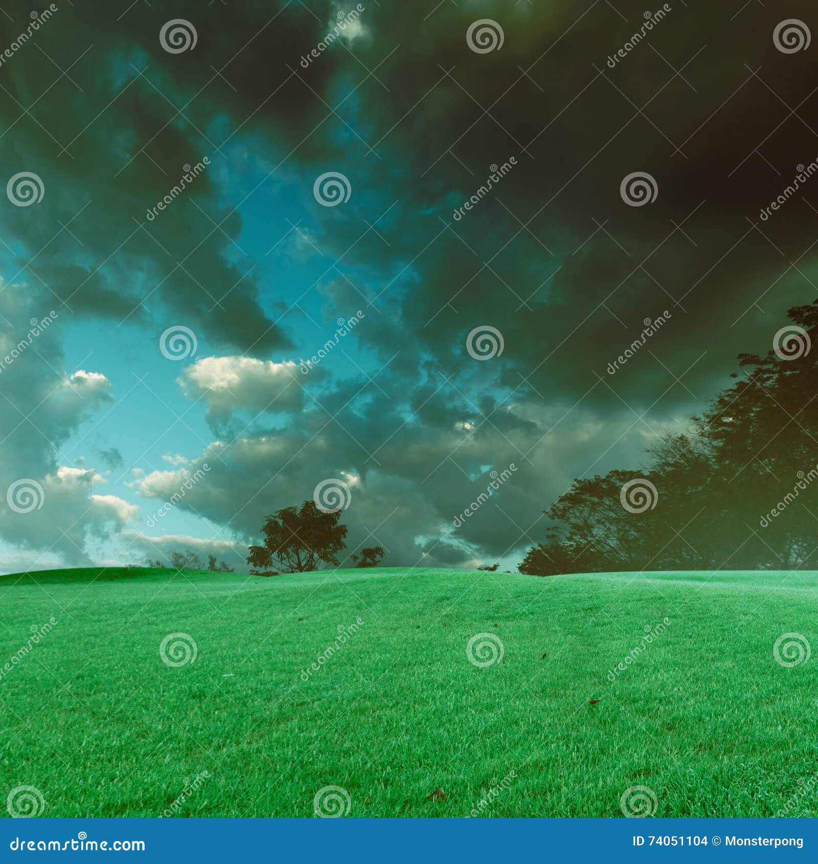 The Beautiful Landscap Dark Field Grass and Sky Stock Photo - Image of ...