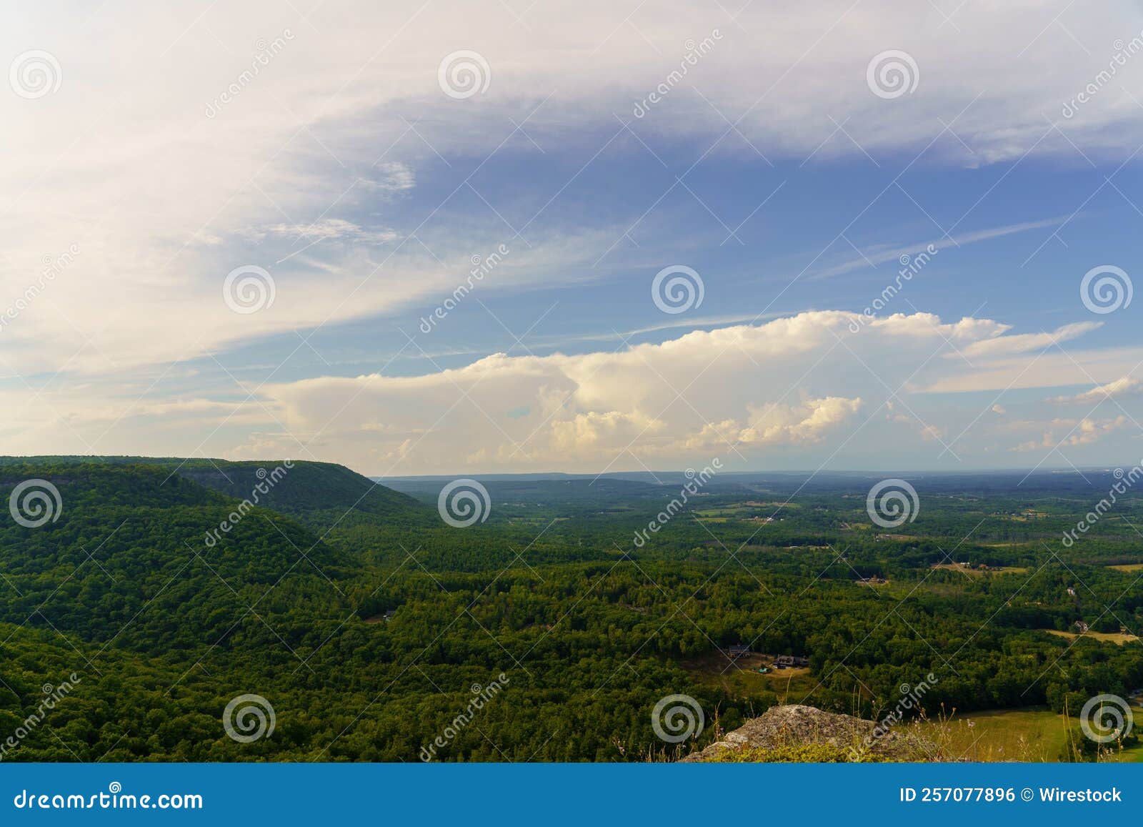 Beautiful Landscape in Albany Stock Photo - Image of view, tree: 257077896