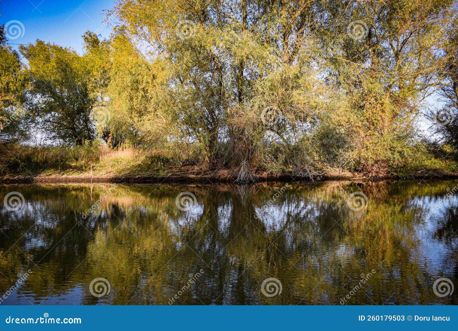 Beautiful Landscape in Autumn Danube Delta Stock Image - Image of ...
