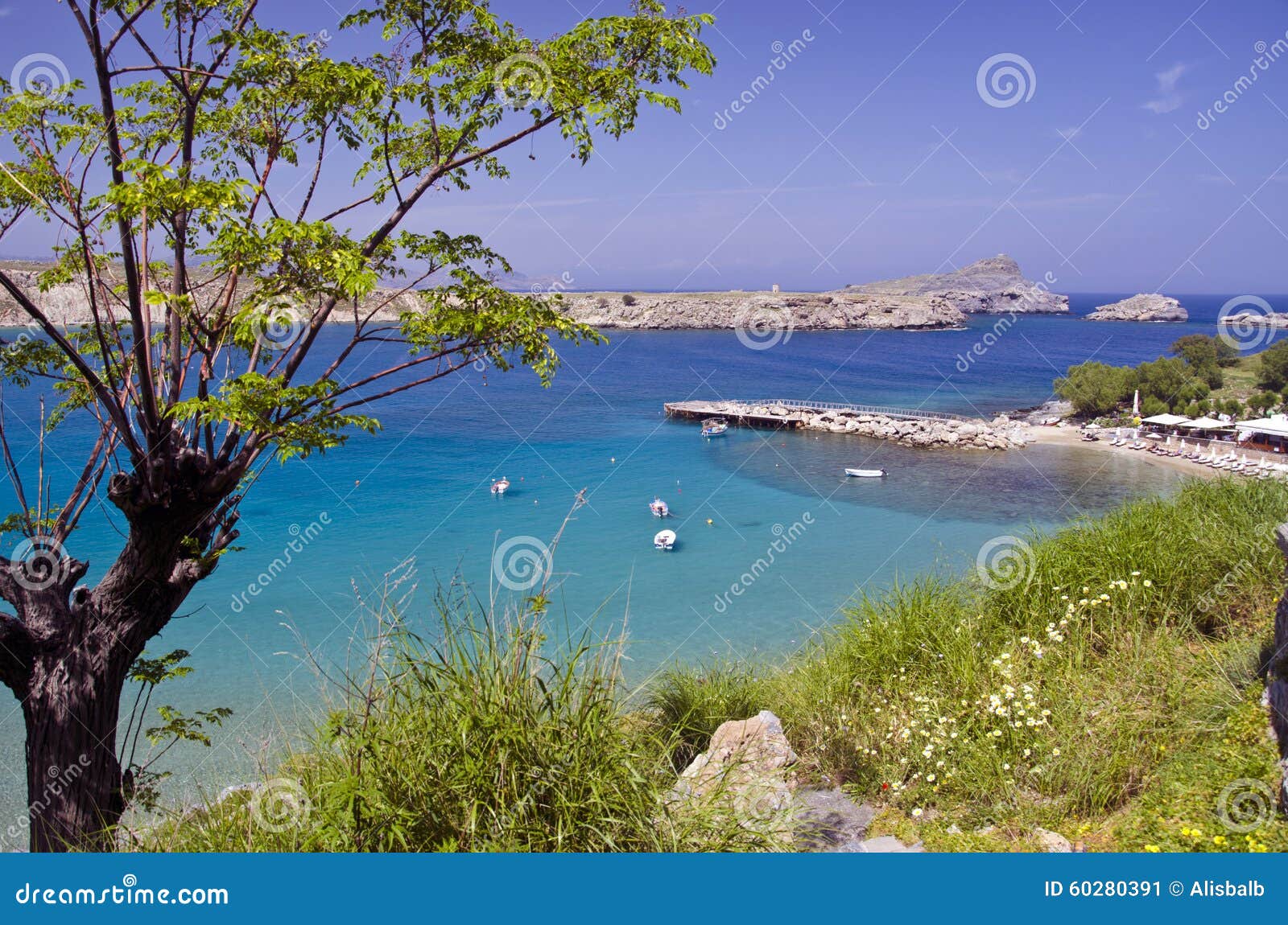 Beautiful Landscape with a Beach and a Tree in Rhodes Stock Image ...