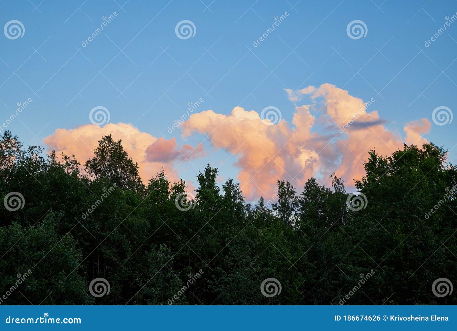 Beautiful Landscape with Blue Sky, Clouds, Sunset and Dark Trees Stock ...