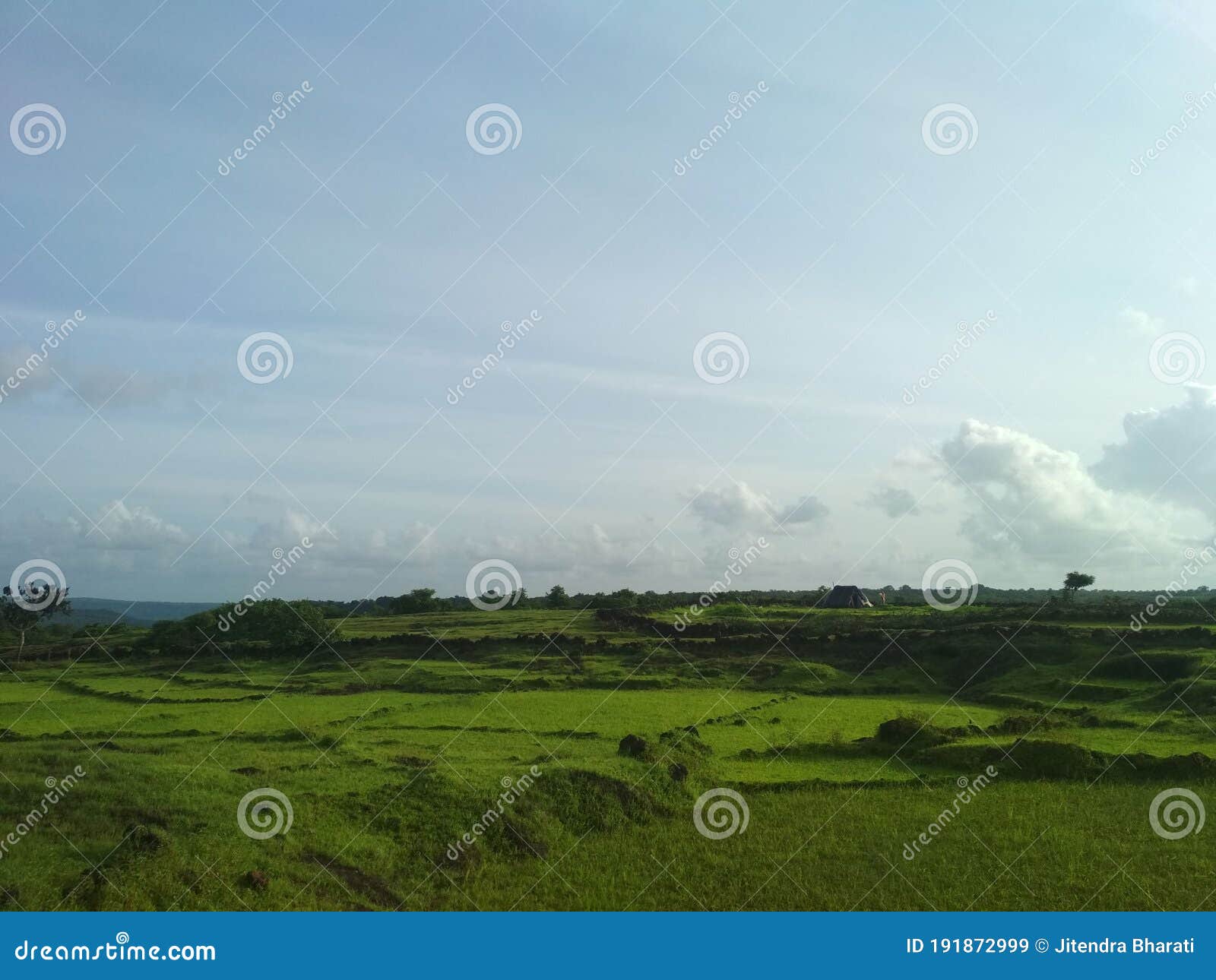 A Beautiful Landscape Blue Sky and Greenery Stock Image - Image of ...