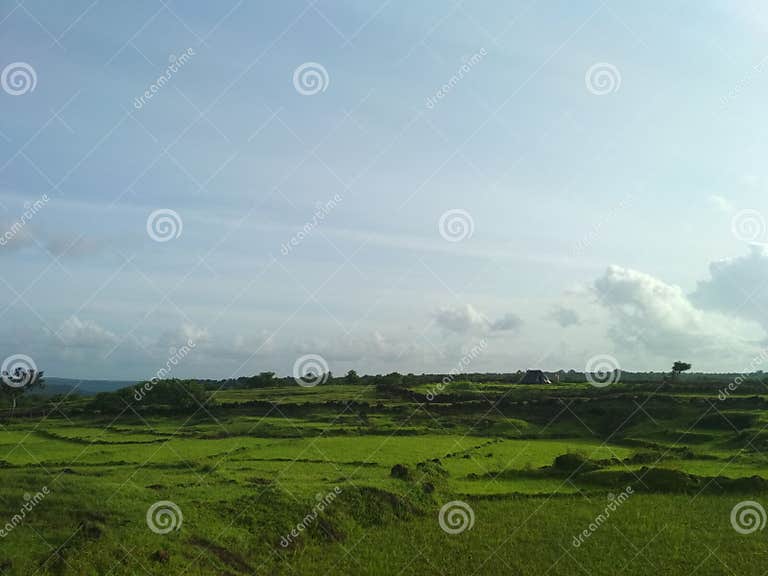 A Beautiful Landscape Blue Sky and Greenery Stock Image - Image of ...