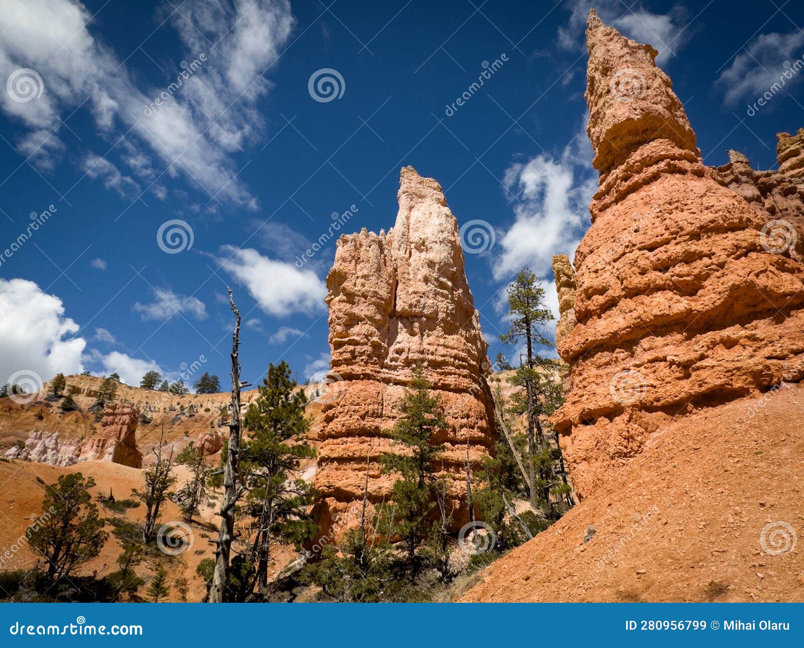 The Beautiful Landscape of Bryce National Park with Sands and Trees ...