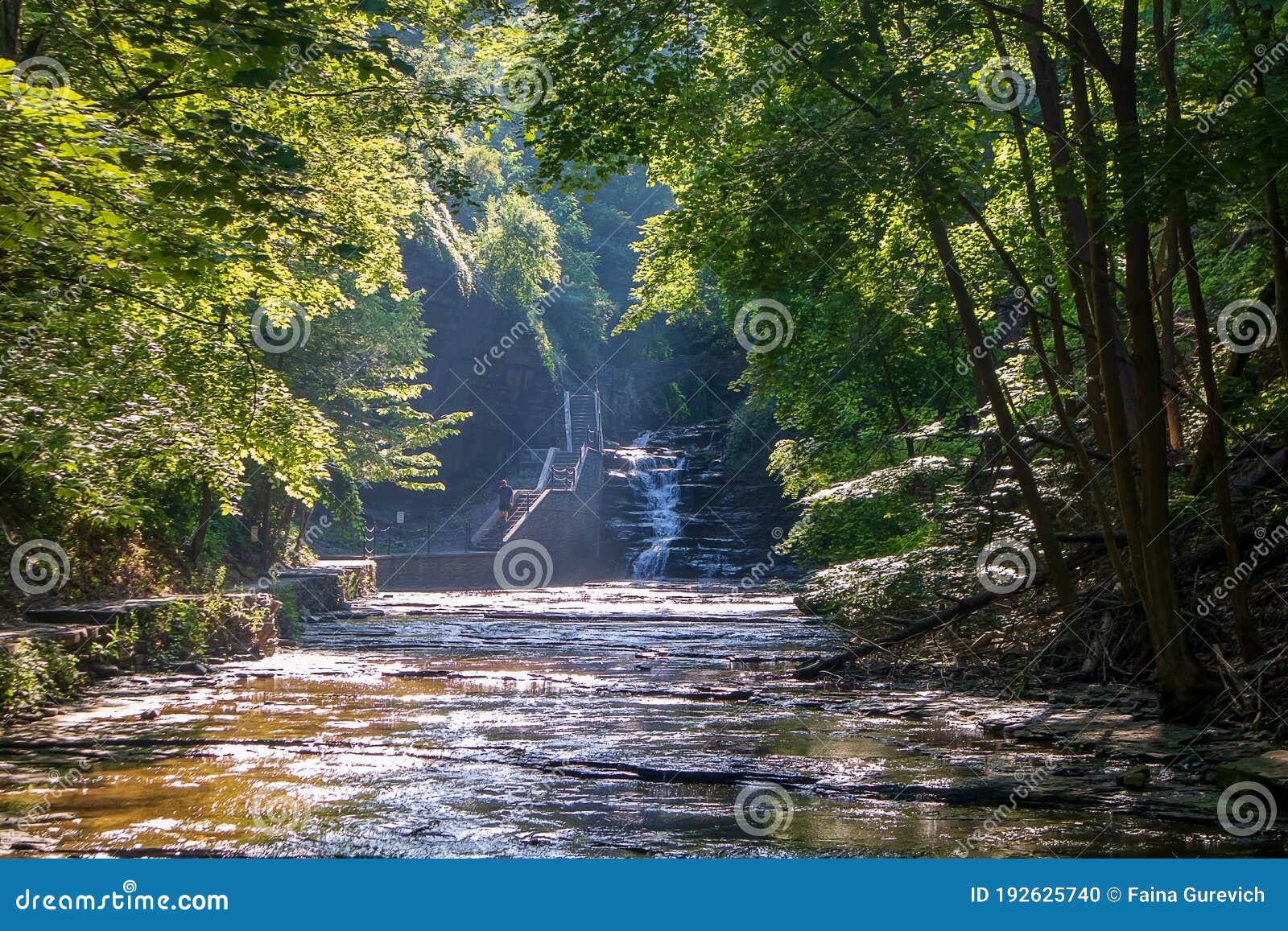 Beautiful Landscape on Cascadilla Gorge Trail in Ithaca Stock Photo ...