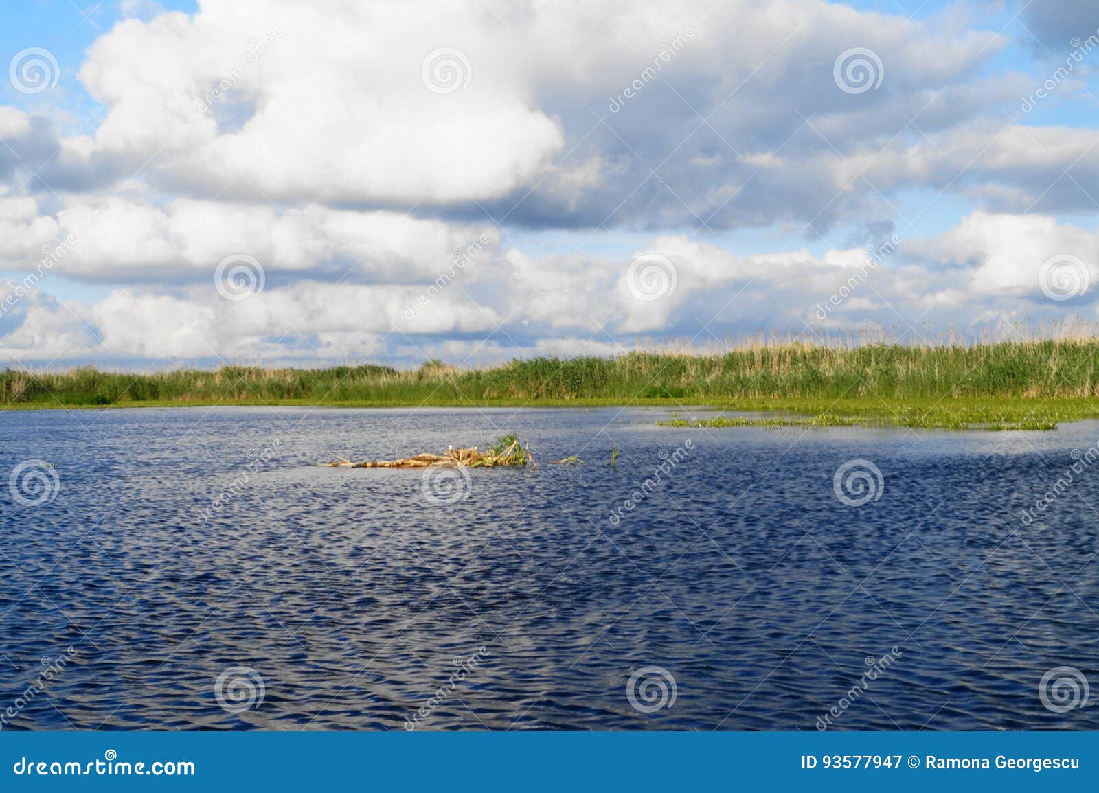 Beautiful Landscape of the Danube Delta, Romania Delta Dunarii Stock ...