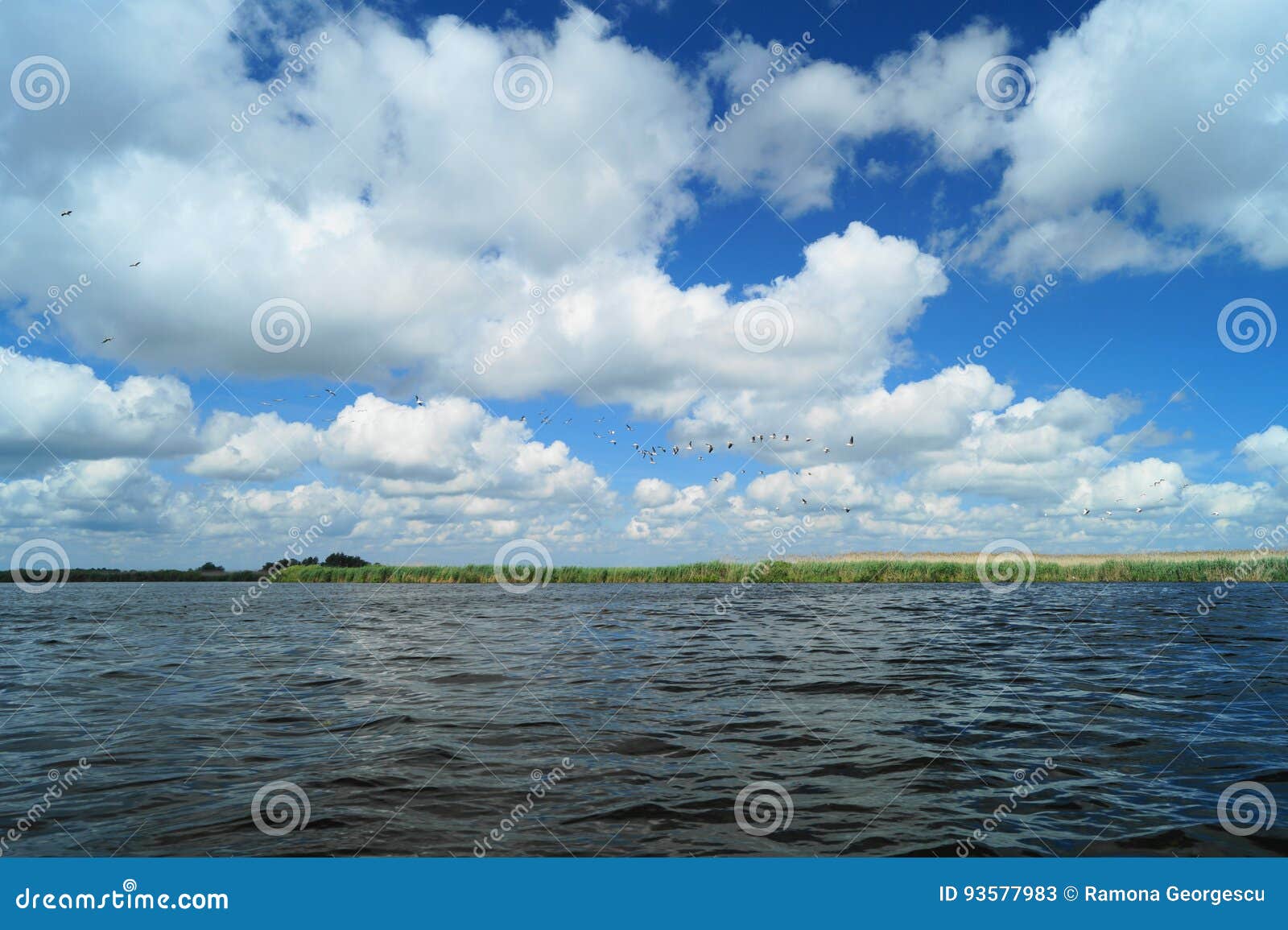 Beautiful Landscape of the Danube Delta, Romania Delta Dunarii Stock ...