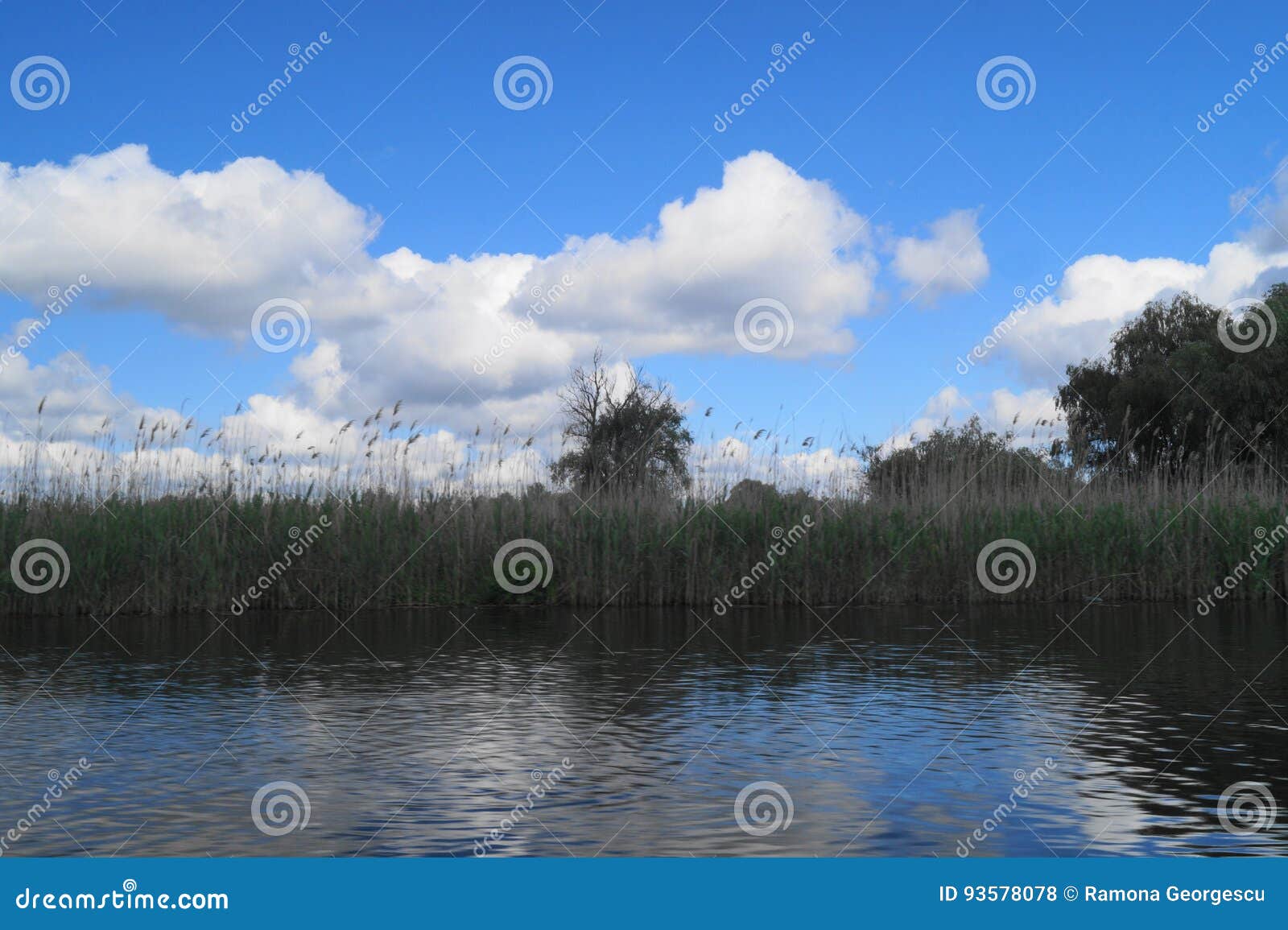 Beautiful Landscape of the Danube Delta, Romania Delta Dunarii Stock ...