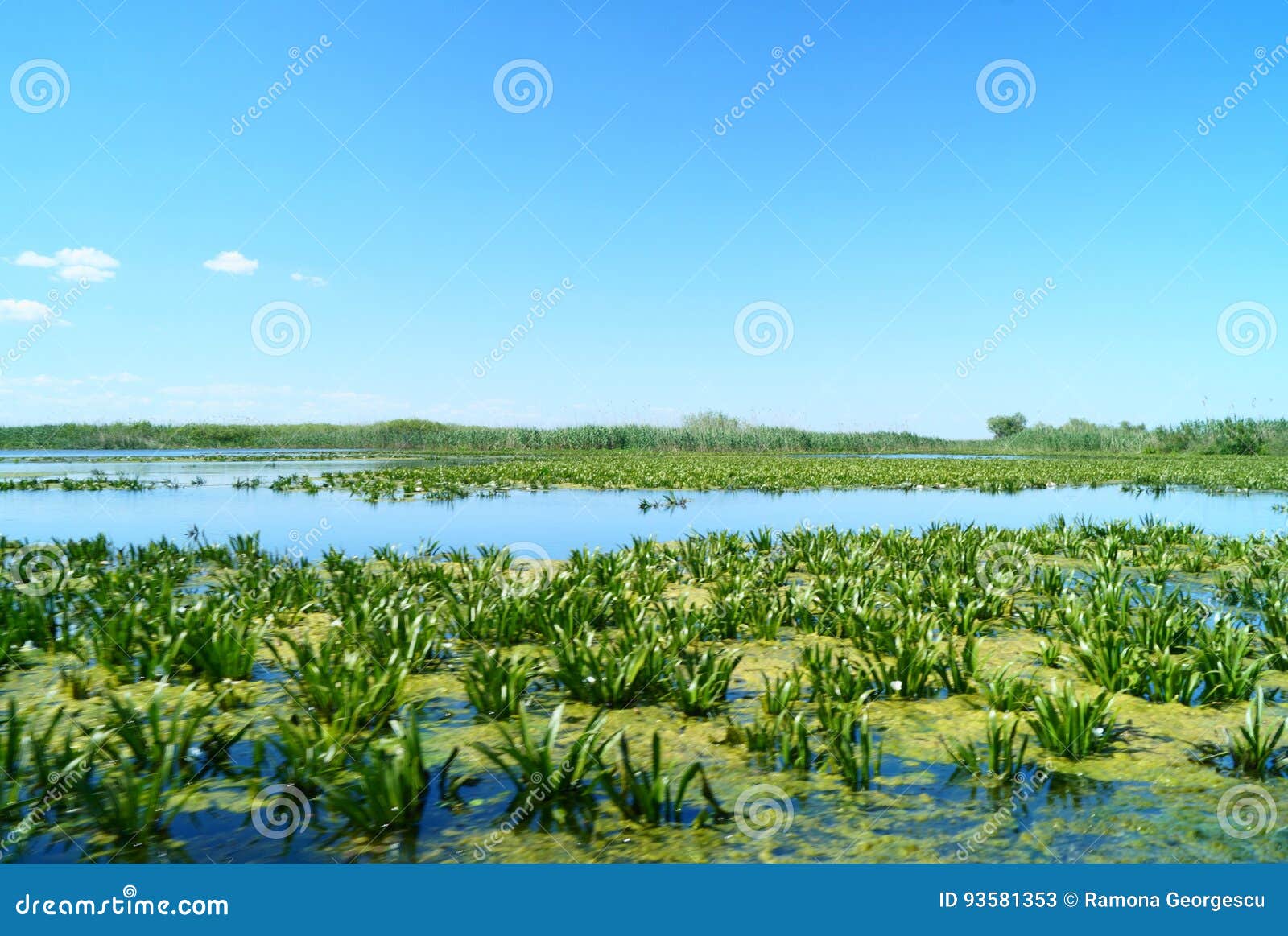 Beautiful Landscape of the Danube Delta, Romania Stock Image - Image of ...