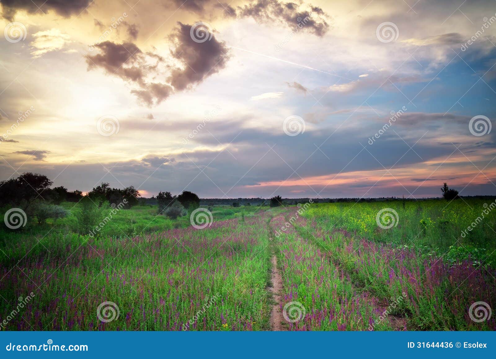 Beautiful Landscape with Flowers, Road and Clouds. Stock Photo - Image ...