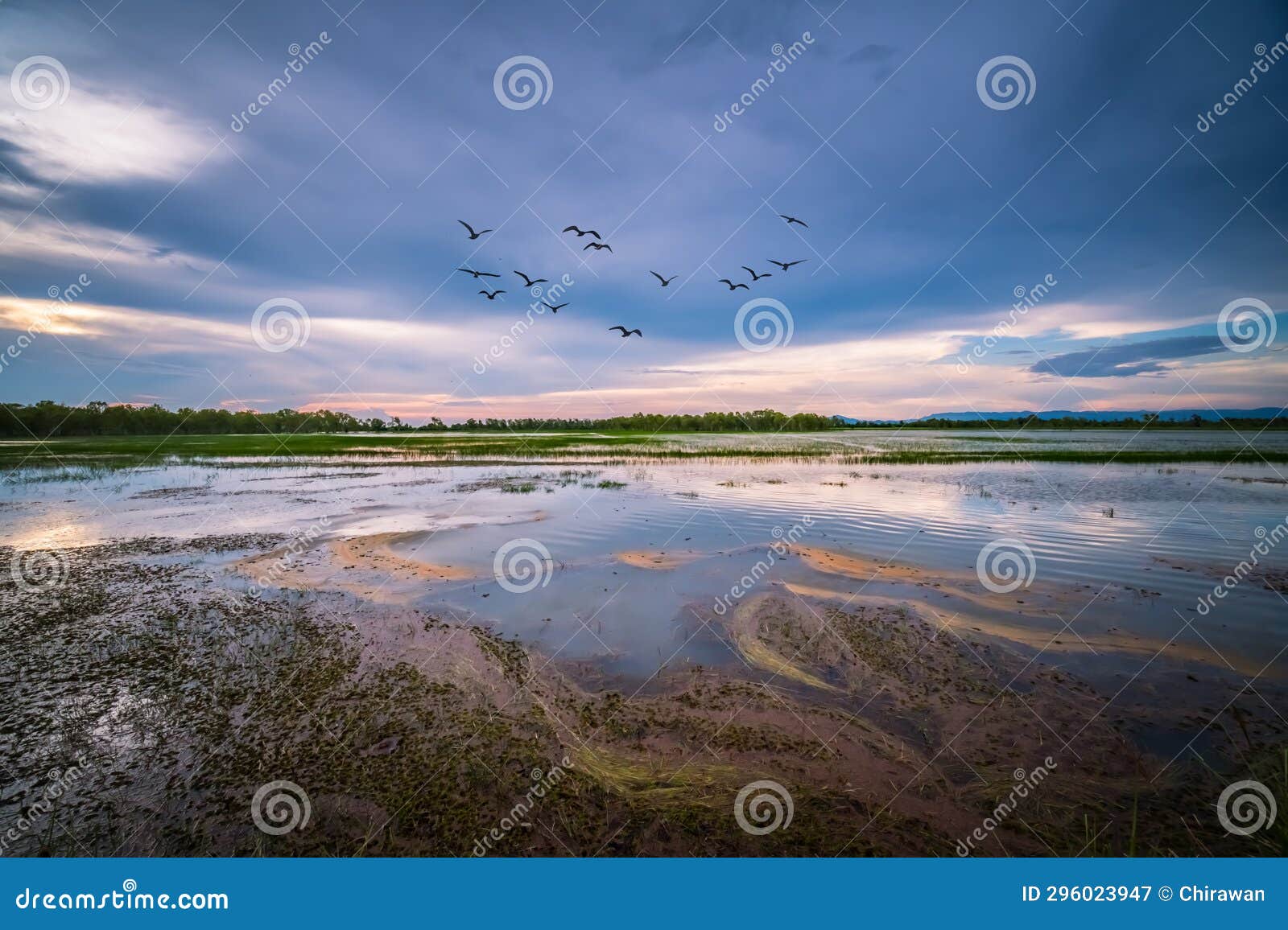 Beautiful Landscape with Flying Birds Stock Image - Image of blue ...