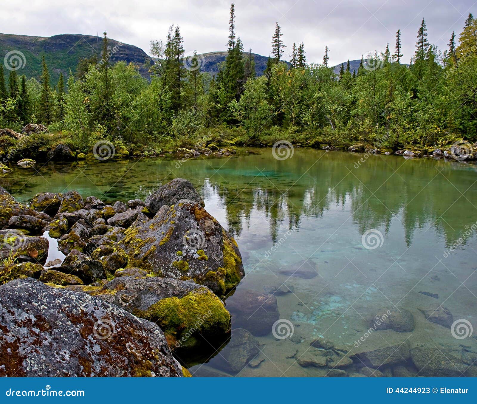 Beautiful Landscape with Forest Lake Stock Image - Image of outdoor ...
