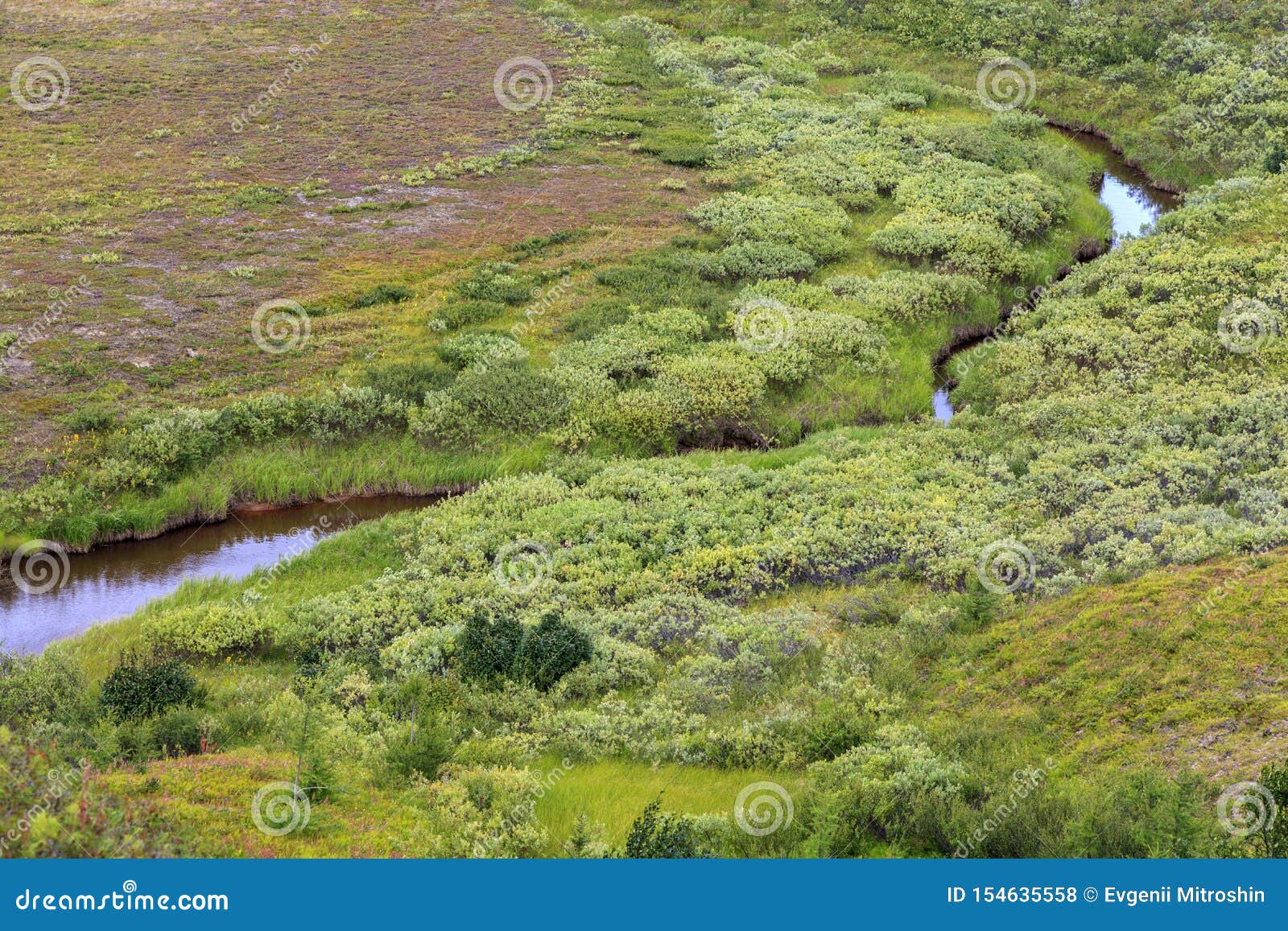 Beautiful Landscape of Forest-tundra Stock Photo - Image of peninsula ...