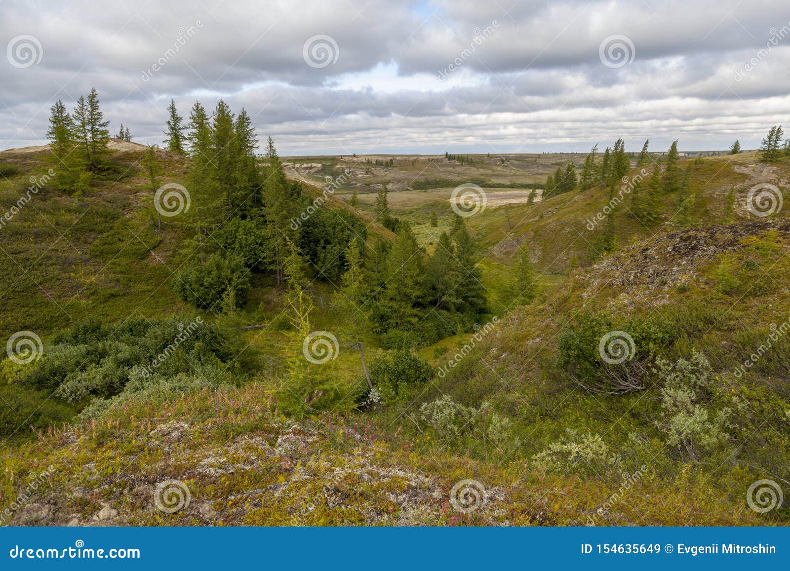 Beautiful Landscape of Forest-tundra Stock Image - Image of color ...