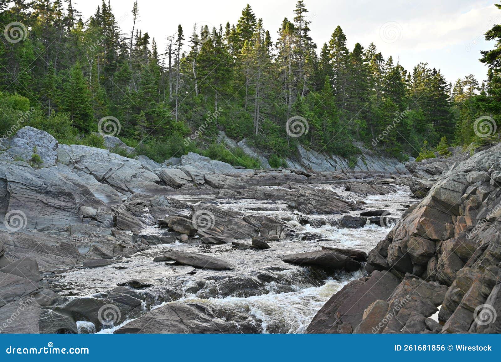 Beautiful Landscape of Forests by a River in Rocks Stock Photo - Image ...
