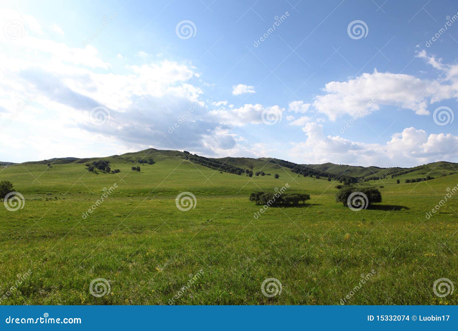 Beautiful Landscape in Grassland Stock Photo - Image of reflection ...